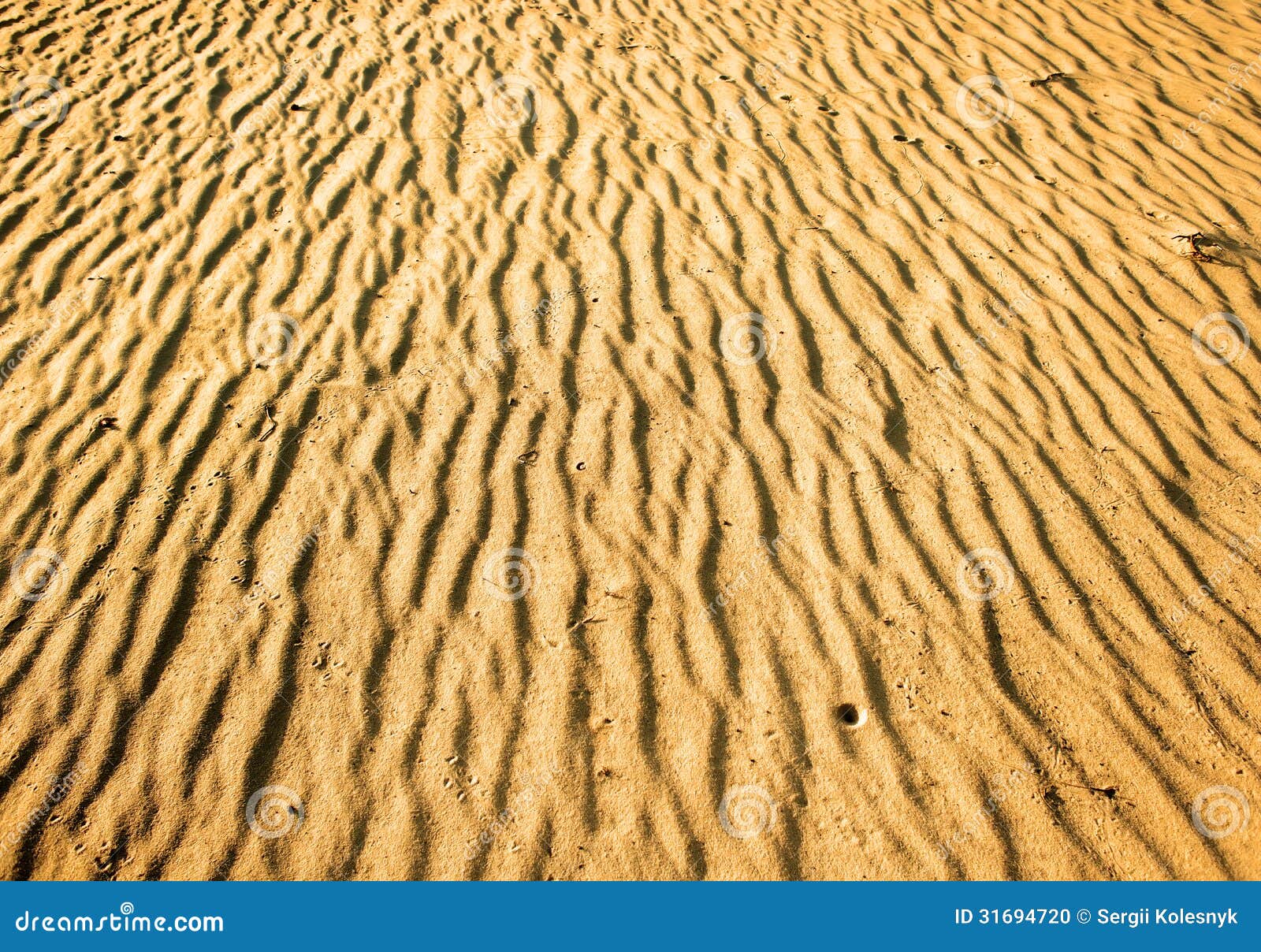 Textura do deserto foto de stock. Imagem de textura, assoalho - 31694720