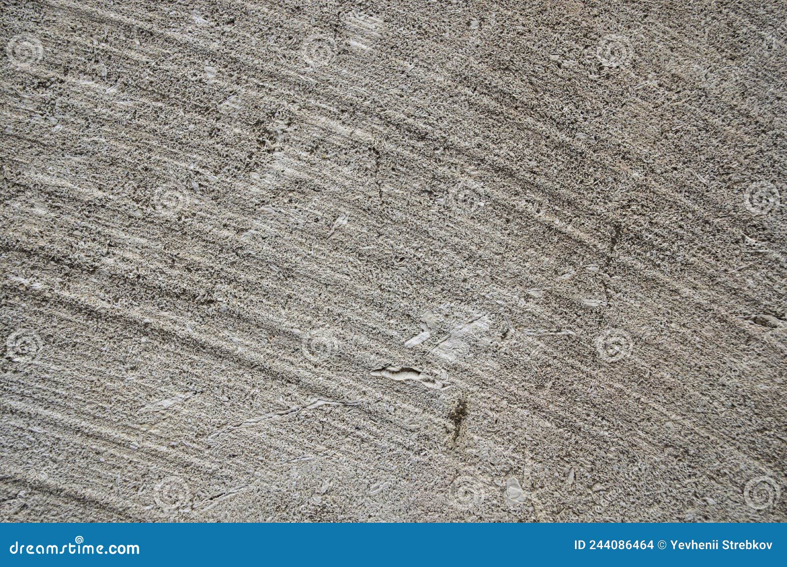 A Textura Do Gesso Da Rocha De Concha Dos Tons Leves Foto de Stock ...