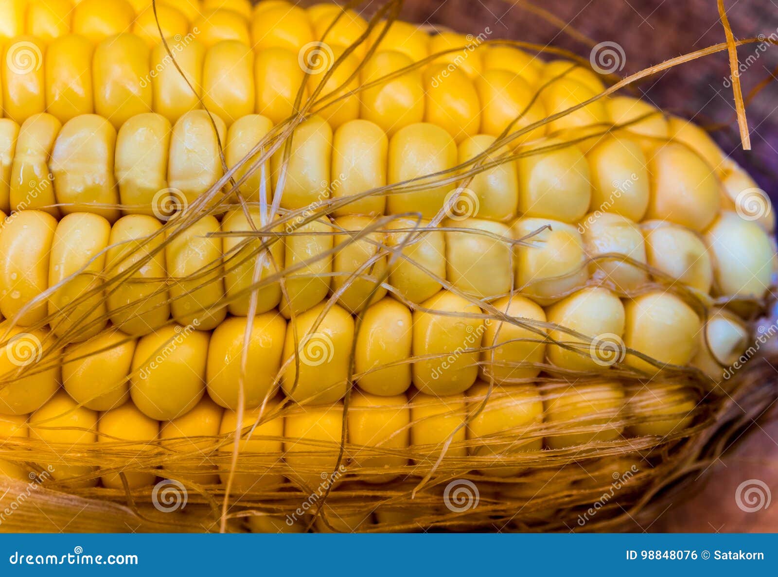 Textura Do Milho Do Doce Da Espiga De Milho Foto de Stock - Imagem de ...