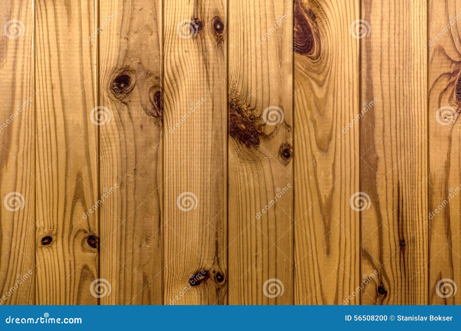Textura Do Parquet Da Madeira De Faia Foto de Stock - Imagem de ...