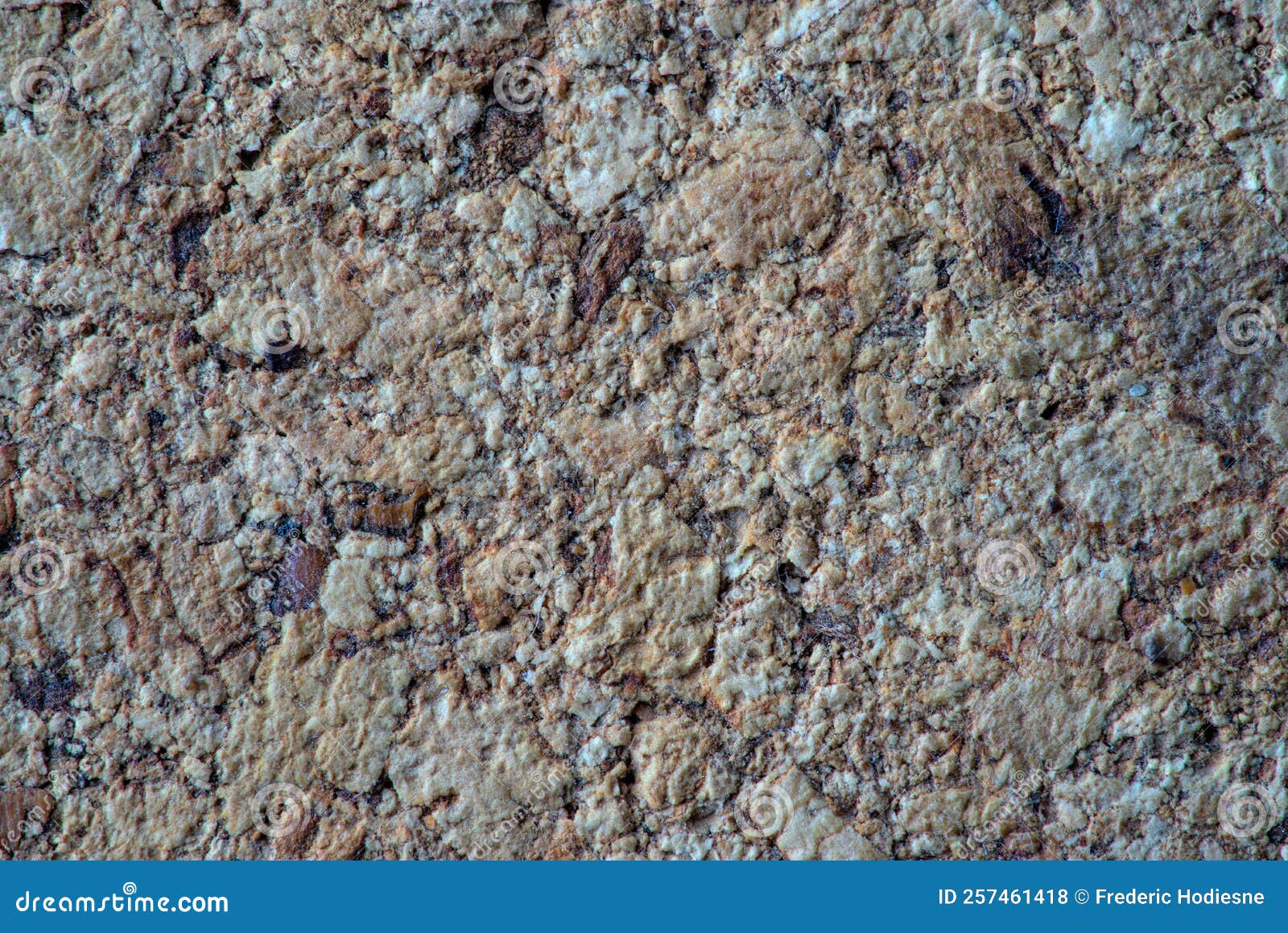 Textura En Detalle Material De Corcho Beige Foto de archivo - Imagen de ...