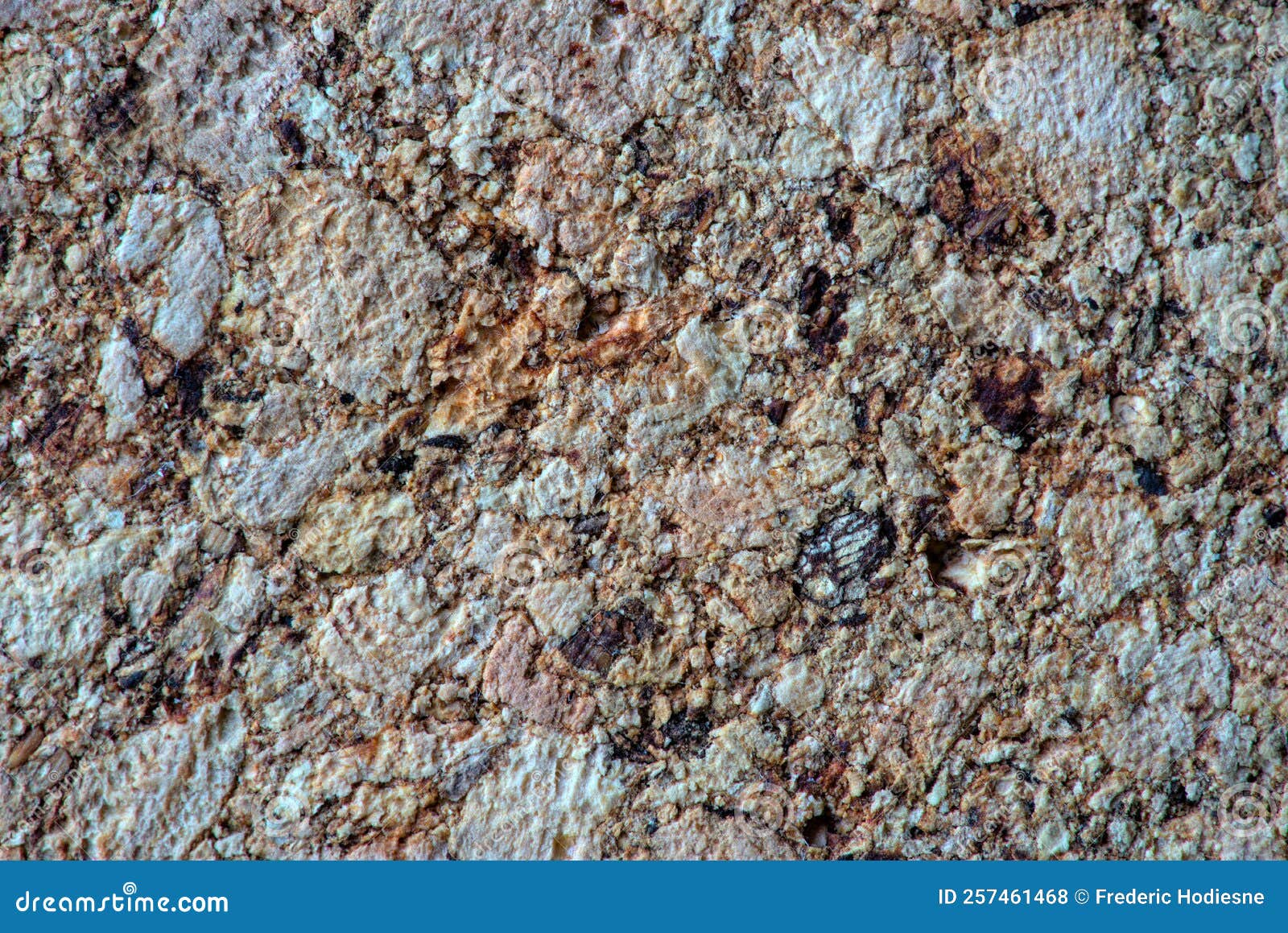 Textura En Detalle Material De Corcho Beige Foto de archivo - Imagen de ...