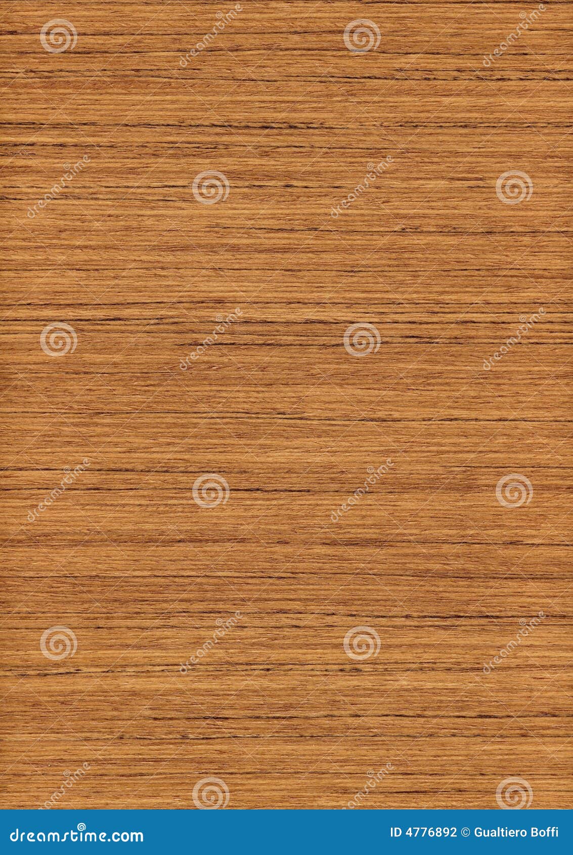 Textura Enorme De Madera De La Teca Foto de archivo - Imagen de modelo ...