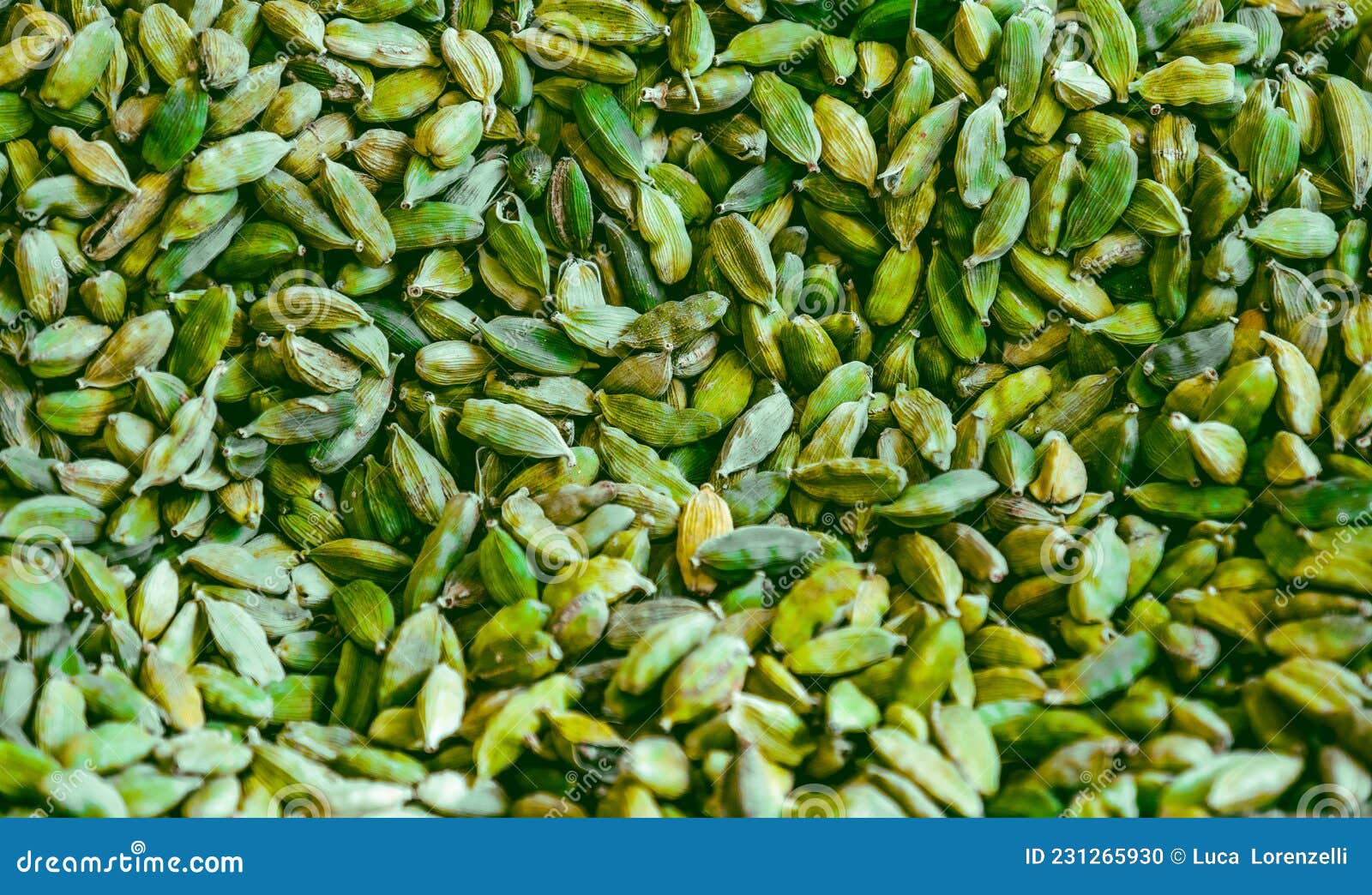 Textura Horizontal Do Cardamon Cor Verde Fundo Do Cardamom Foto de ...