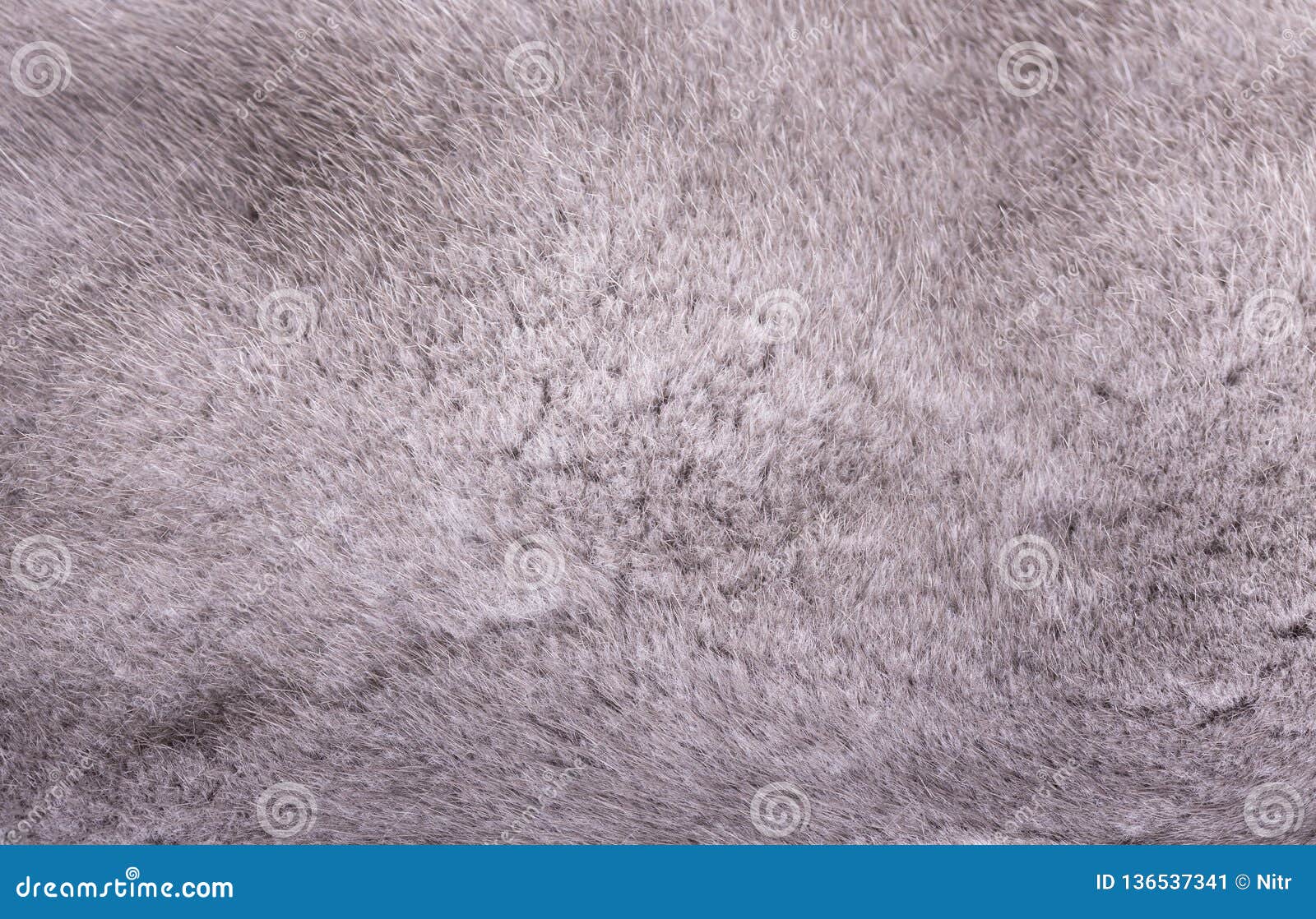 Textura Natural Da Pele Do Vison Imagem de Stock - Imagem de prata ...