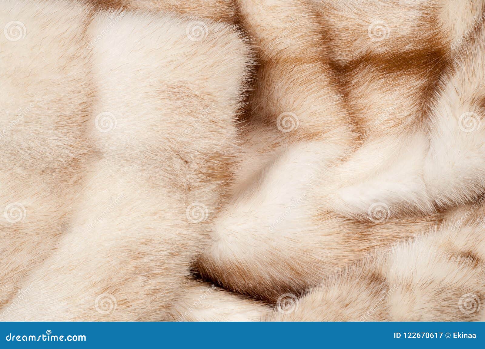 Textura Pele Do Vison Revestimento De Vison Imagem de Stock - Imagem de ...