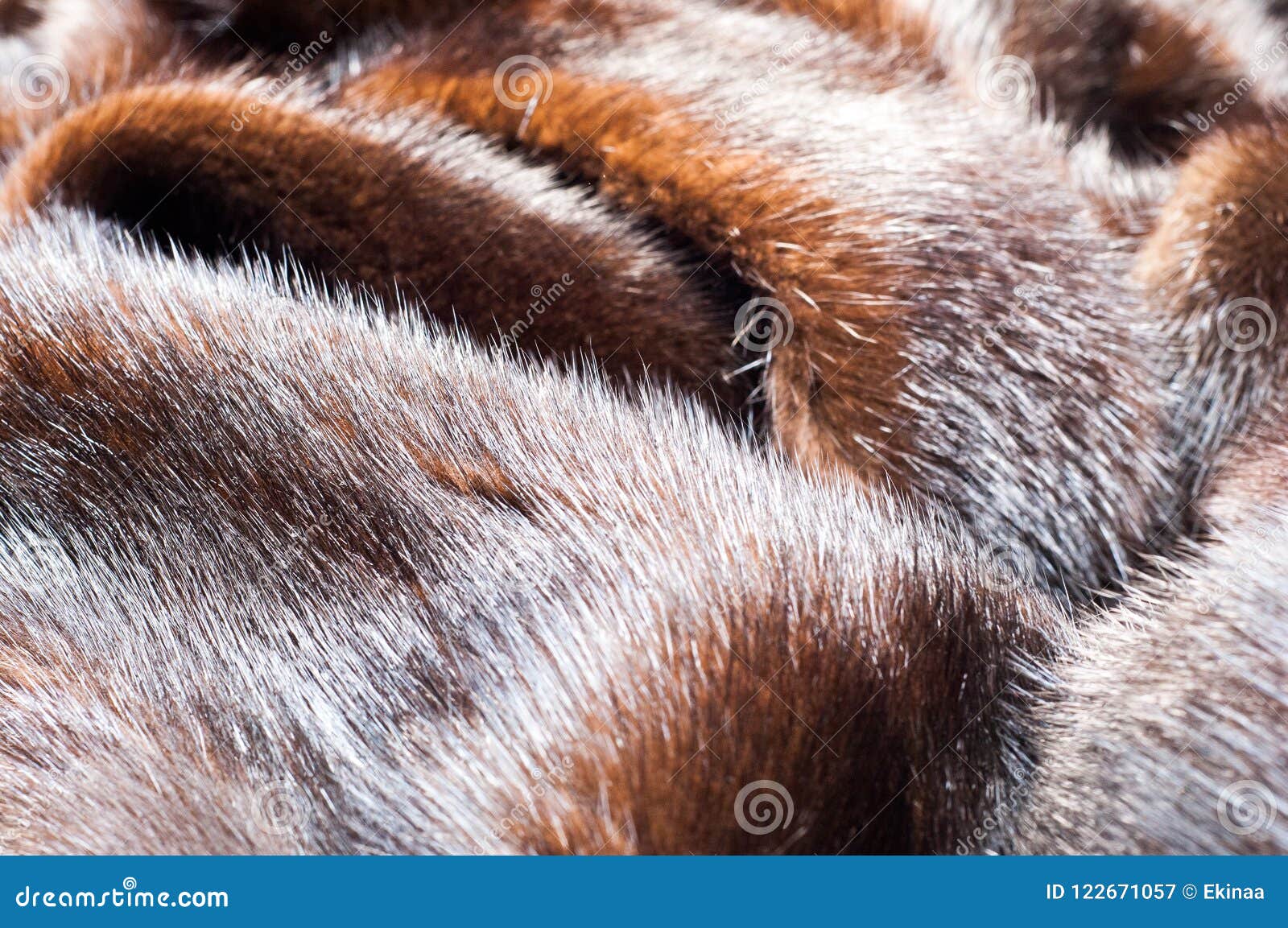 Textura Pele Do Vison Revestimento De Vison Imagem de Stock - Imagem de ...