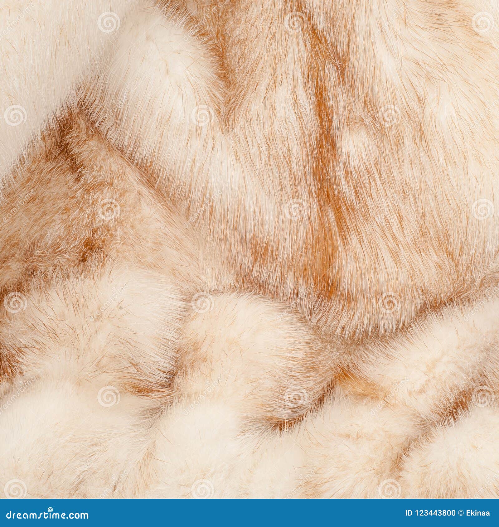 Textura Pele Do Vison Revestimento De Vison Foto de Stock - Imagem de ...