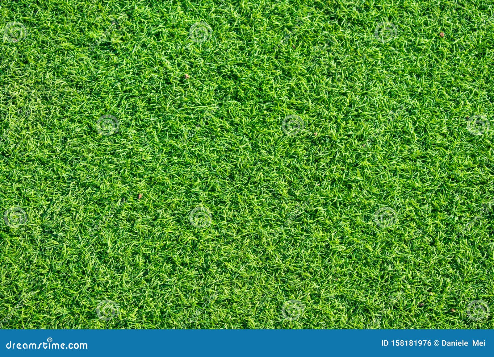 Textura verde de erva foto de stock. Imagem de mola - 158181976