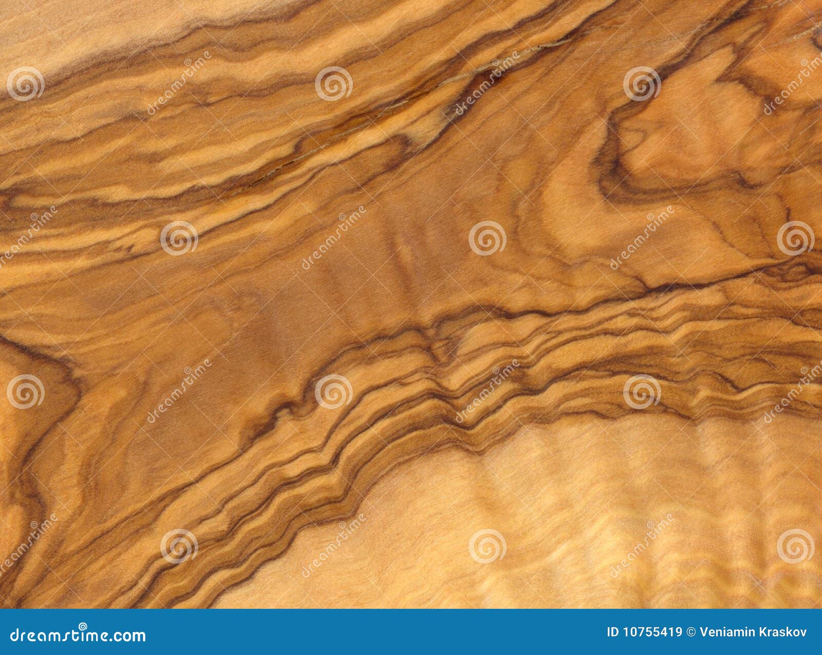 Textura verde oliva imagen de archivo. Imagen de duro - 10755419