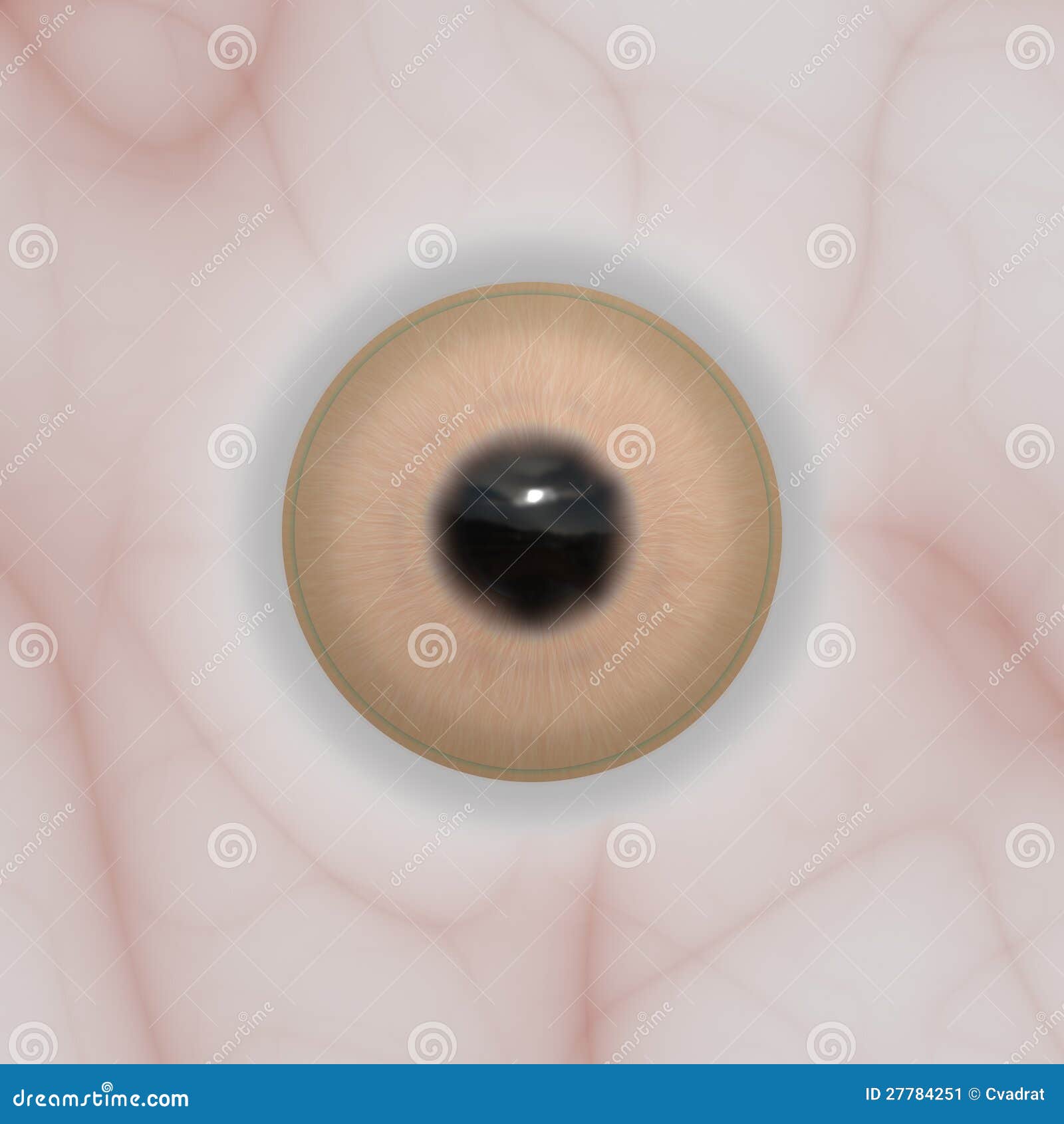 Textura Virtual 01 Del Ojo De Seres Humanos Stock de ilustración ...