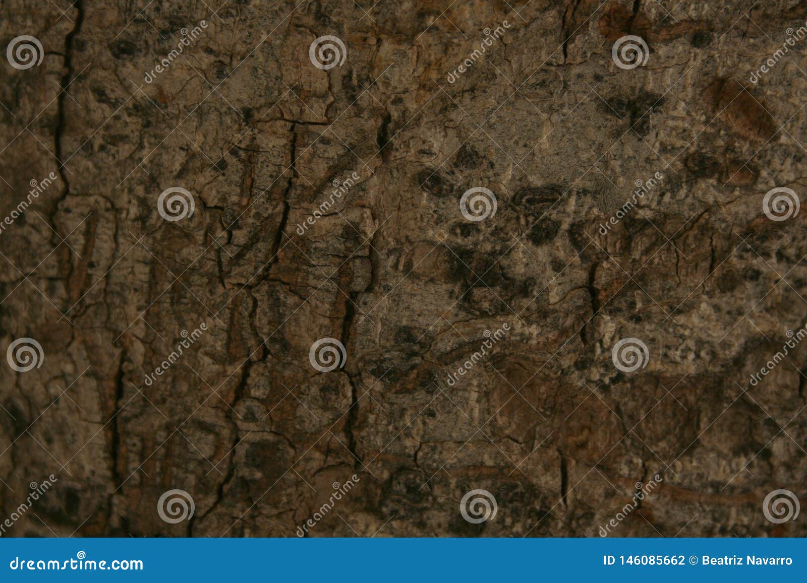 TEXTURAS 100 foto de archivo. Imagen de materiales, vario - 146085662