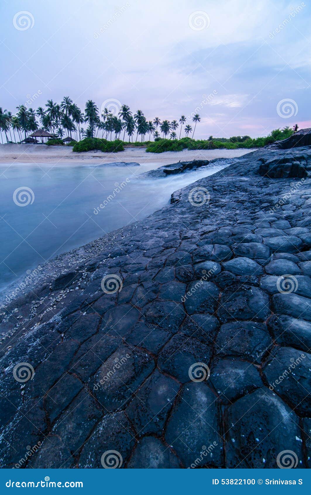 Texturas Y Treeline En St Mary Island Foto de archivo - Imagen de isla ...