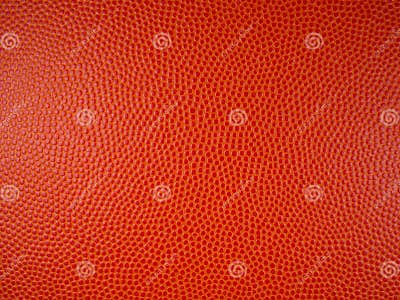 Texture 2 stock image. Image of pigskin, concept, pattern - 28867