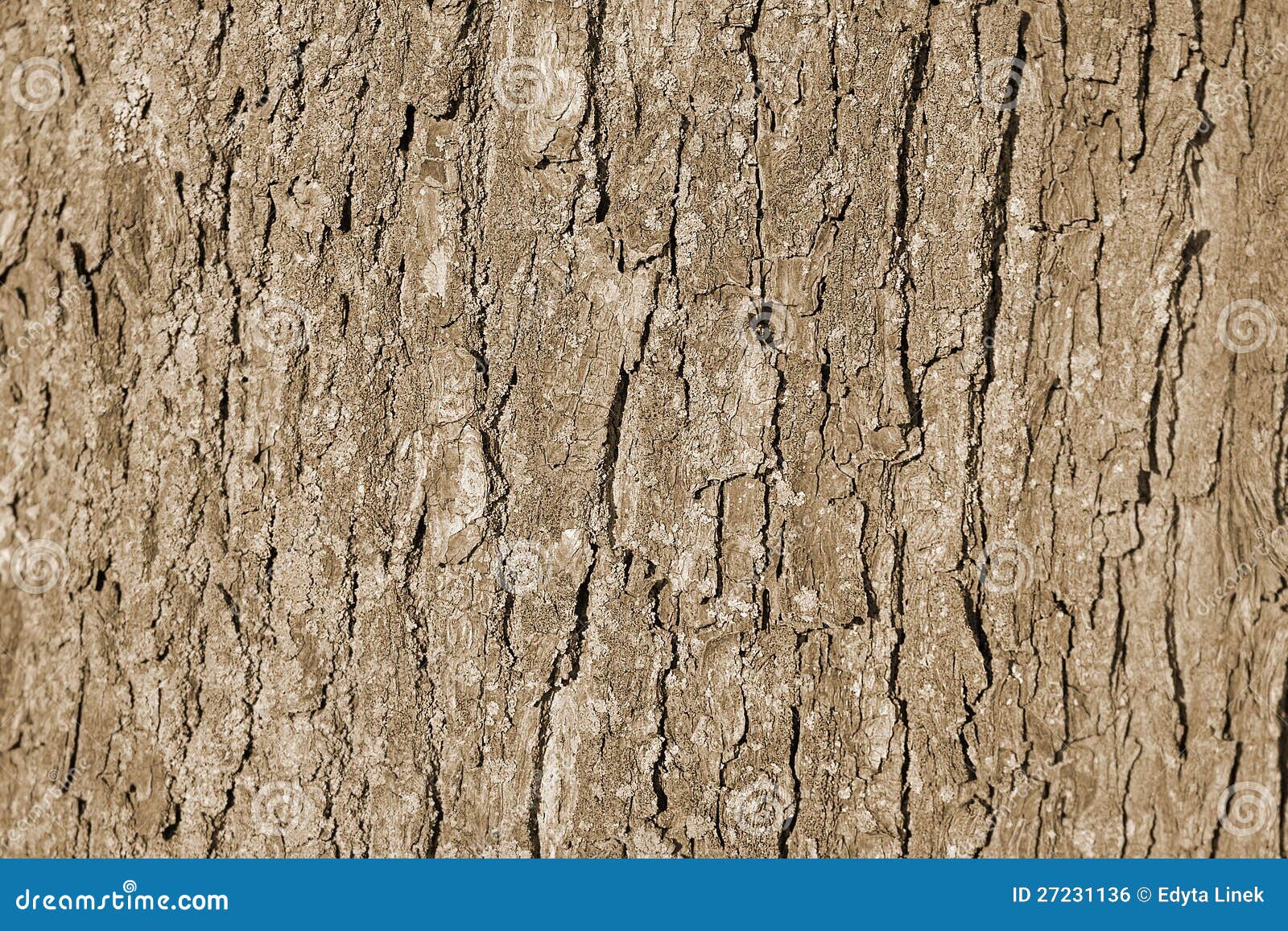 Texture stock photo. Image of material, abstract, background - 27231136