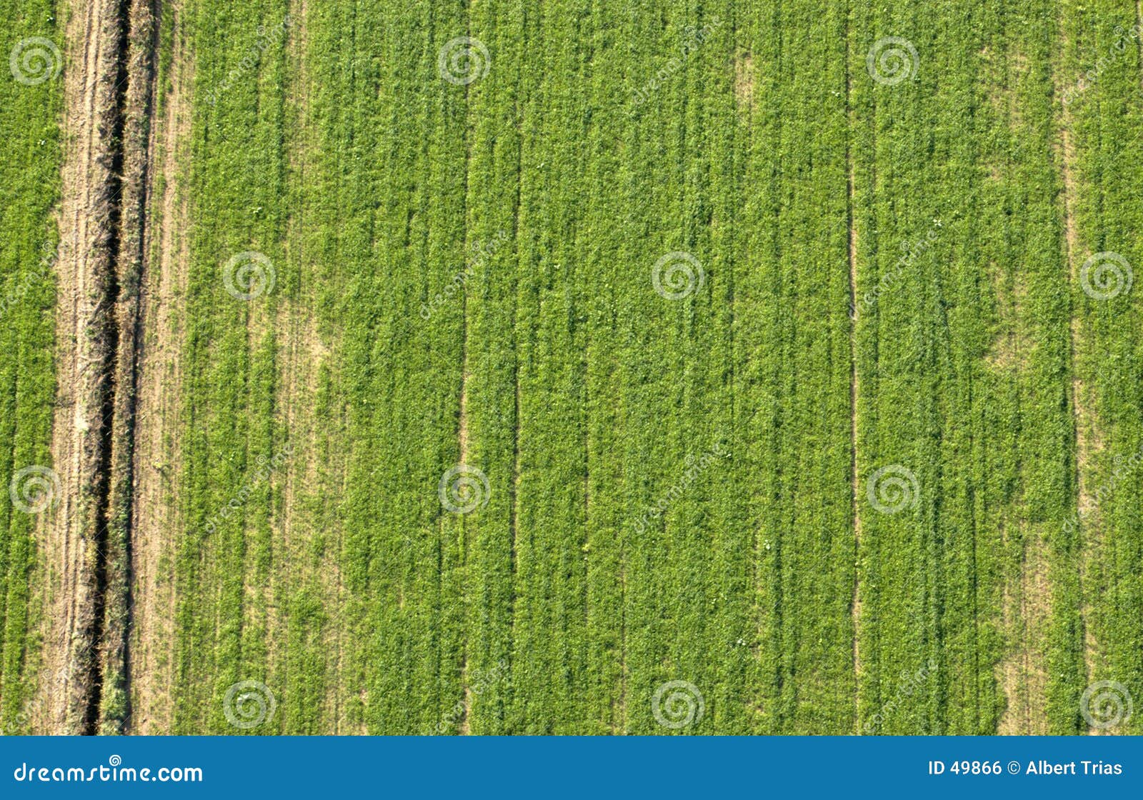 1,864 Sow Texture Stock Photos - Free & Royalty-Free Stock Photos from ...