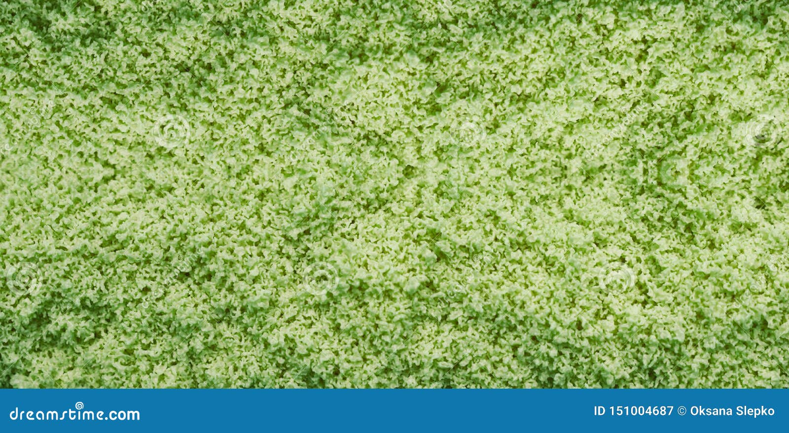 Seamless Slime Texture Photos - Free & Royalty-Free Stock Photos from ...