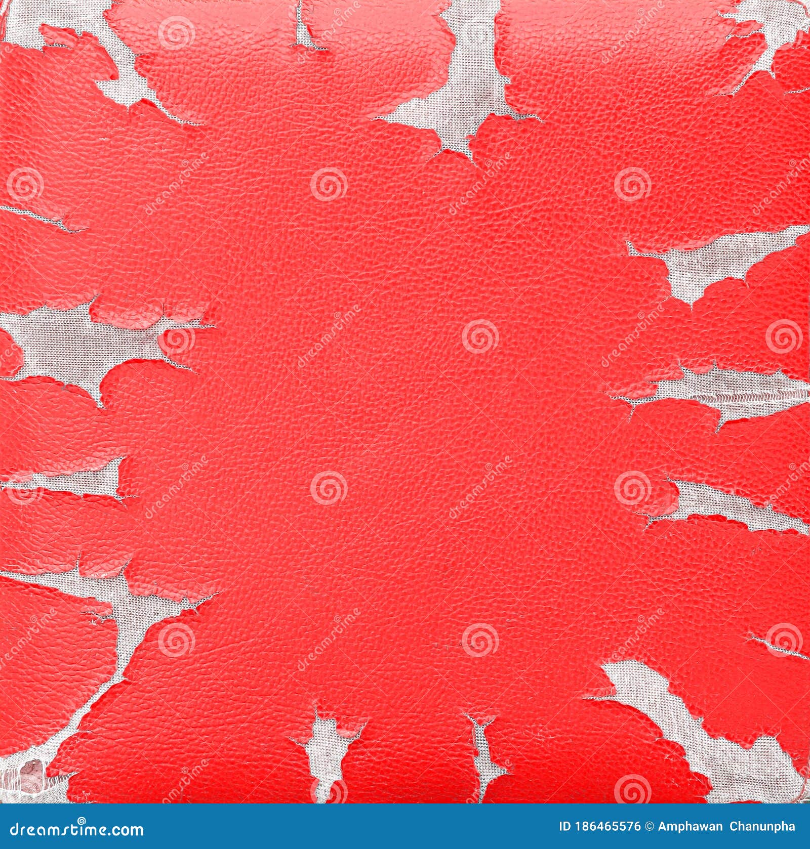 Texture Abstract Red Leather with Ripped Patterns Frame and Copy Space ...