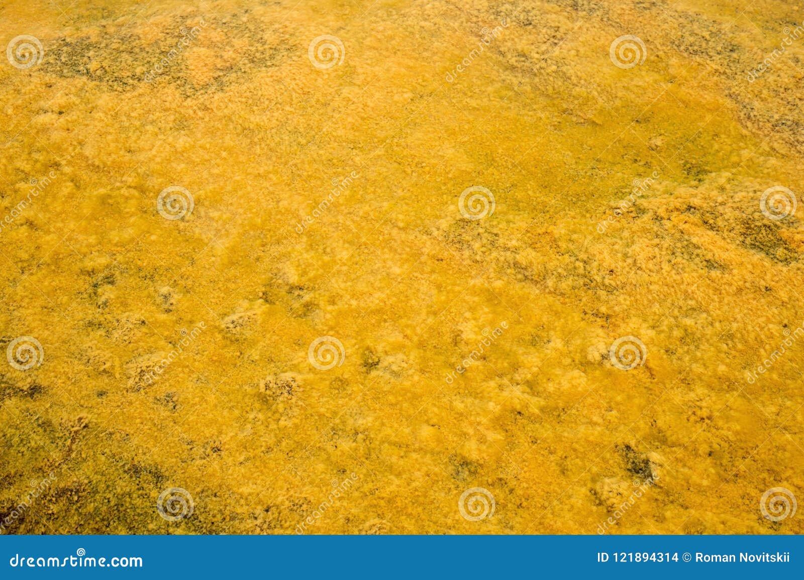 Texture Abstraction of Water and Algae at the Bottom of a Drained Pond ...
