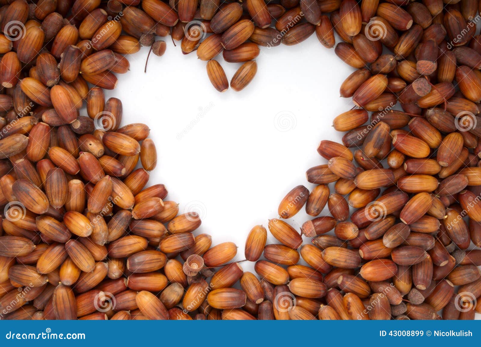 Texture of acorns stock image. Image of isolated, outdoor - 43008899