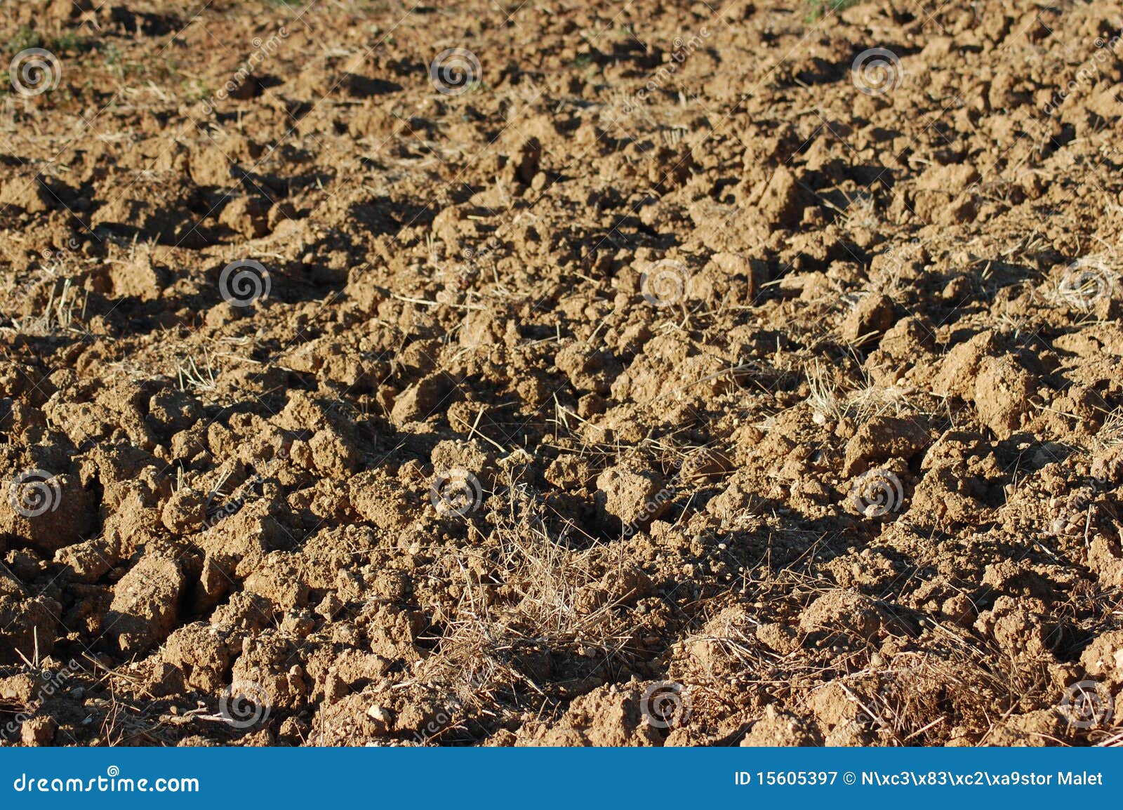 Texture of the Agricultural Land Stock Image - Image of ditch, plants ...
