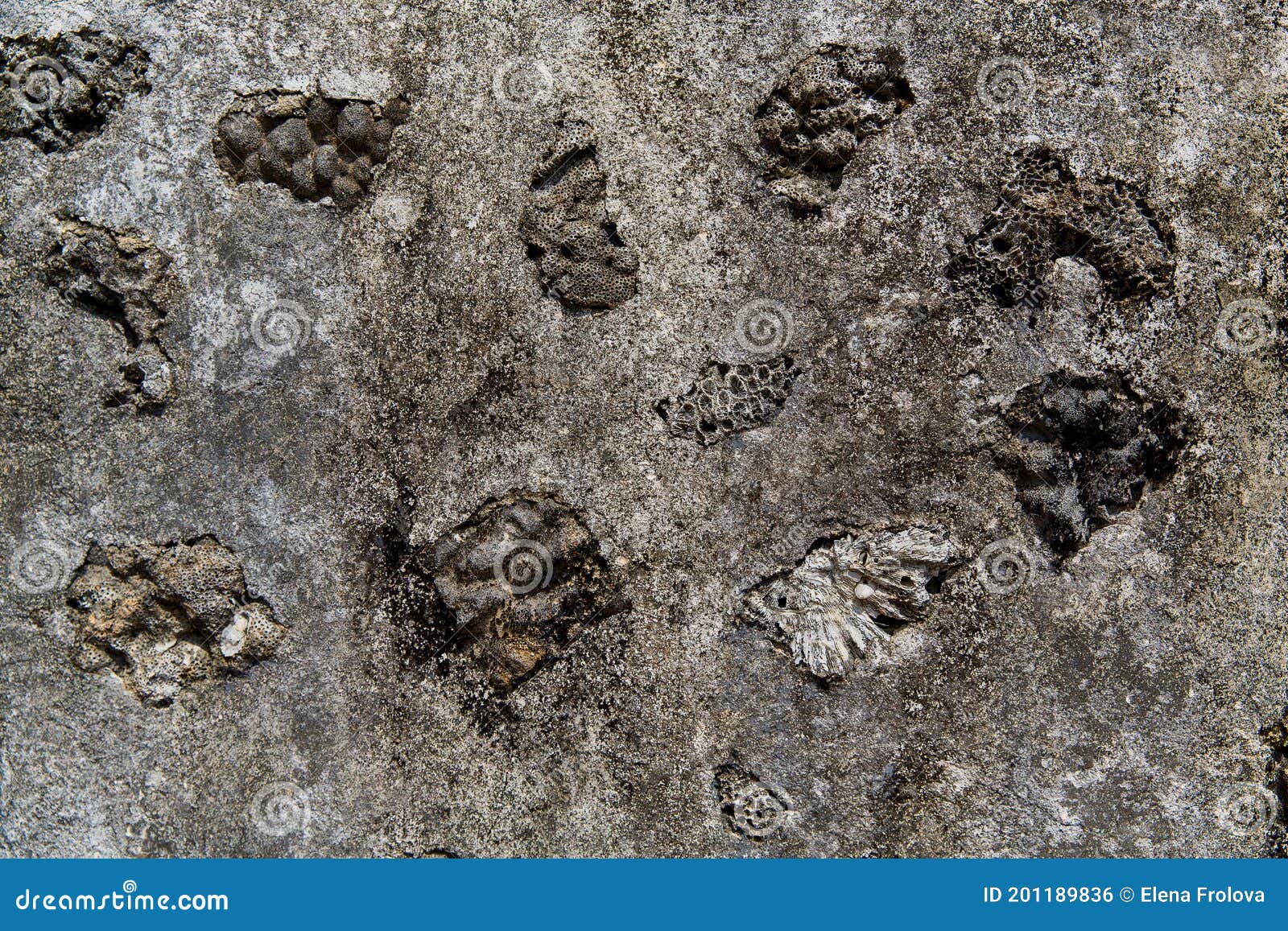 The Texture of an Ancient Chinese Stone Wall Made of Stones, Corals and ...