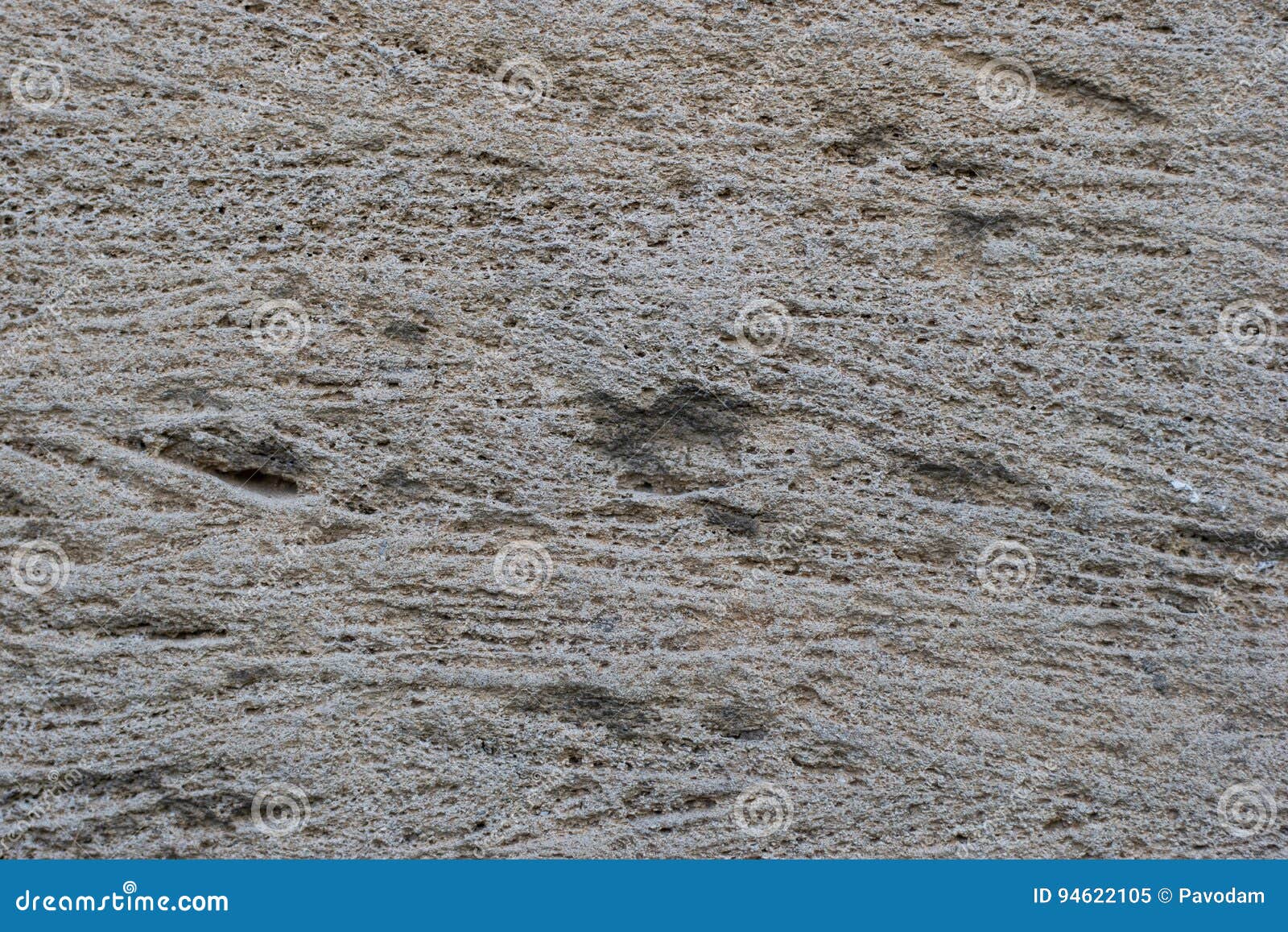 Texture of Ancient Coral Reef Stock Image - Image of black, designer ...