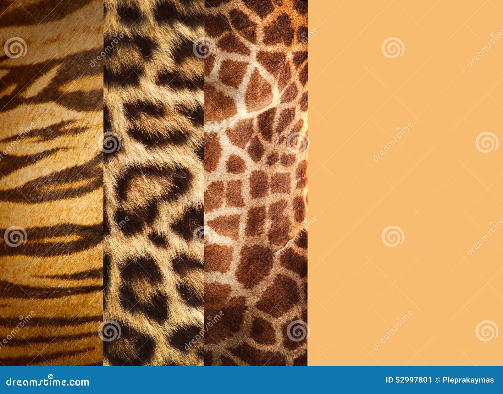 Texture of animal skins stock image. Image of grunge - 52997801