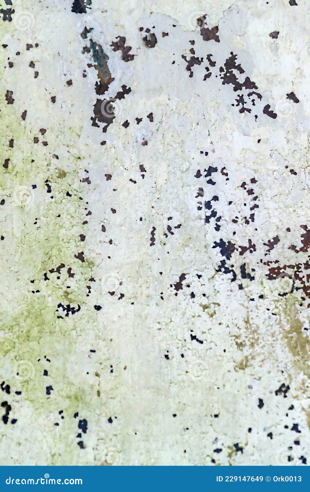 The Texture of the Paint on the Wall Stock Image - Image of classic ...