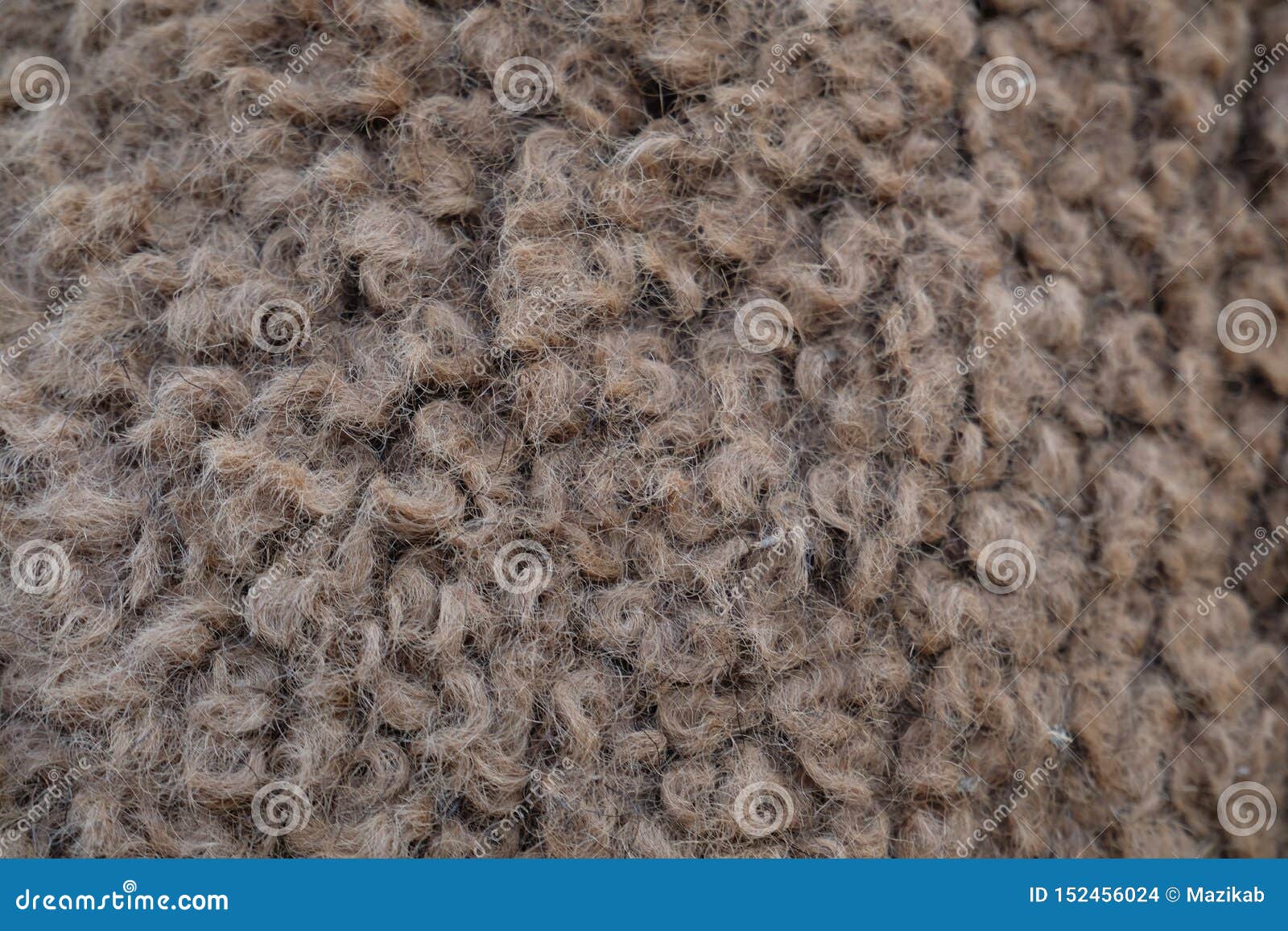 Camel hair stock photo. Image of horse, camelus, nature - 152456024
