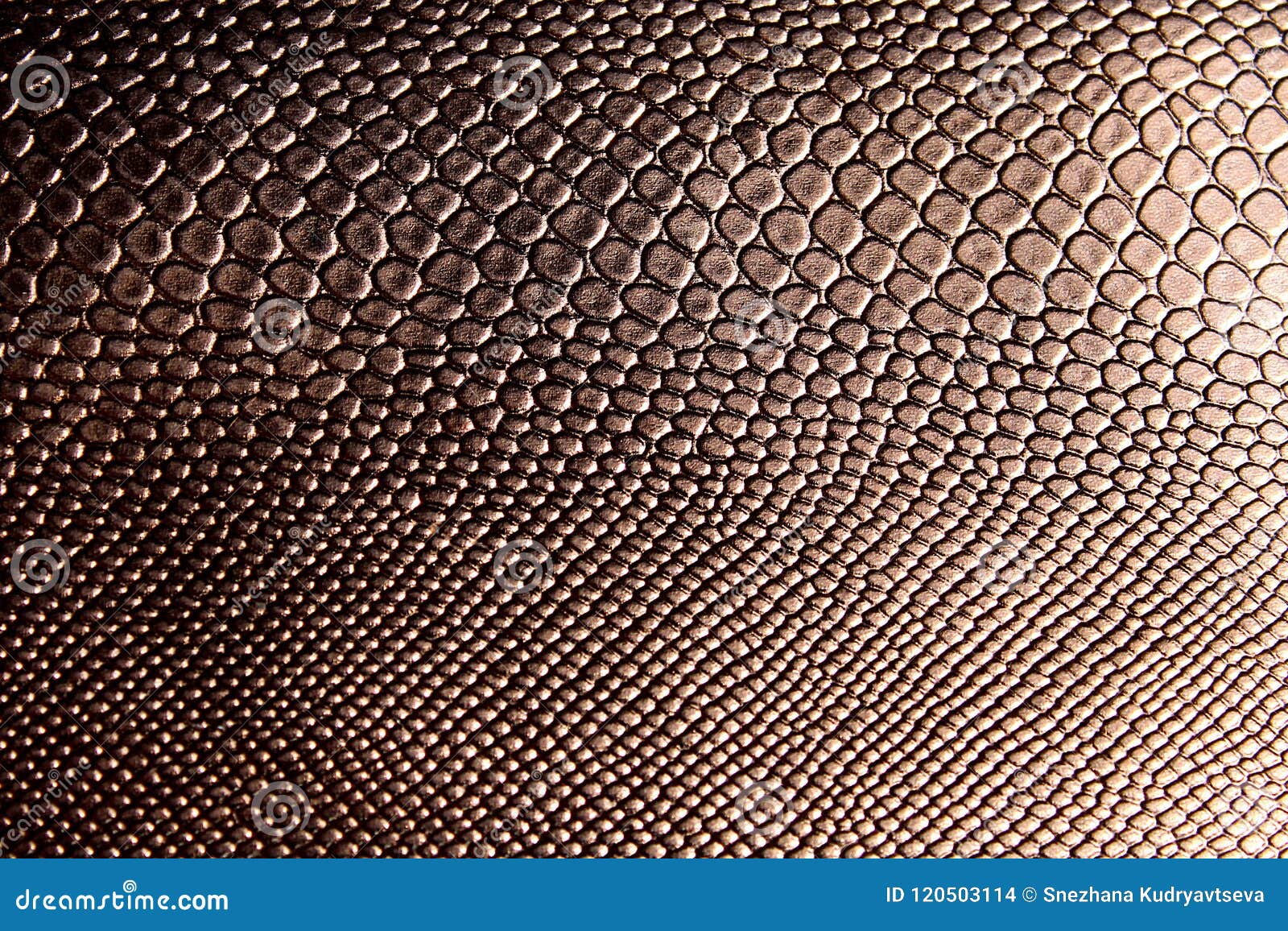 Texture of an Artificial Brown Snake Skin Stock Photo - Image of grungy ...