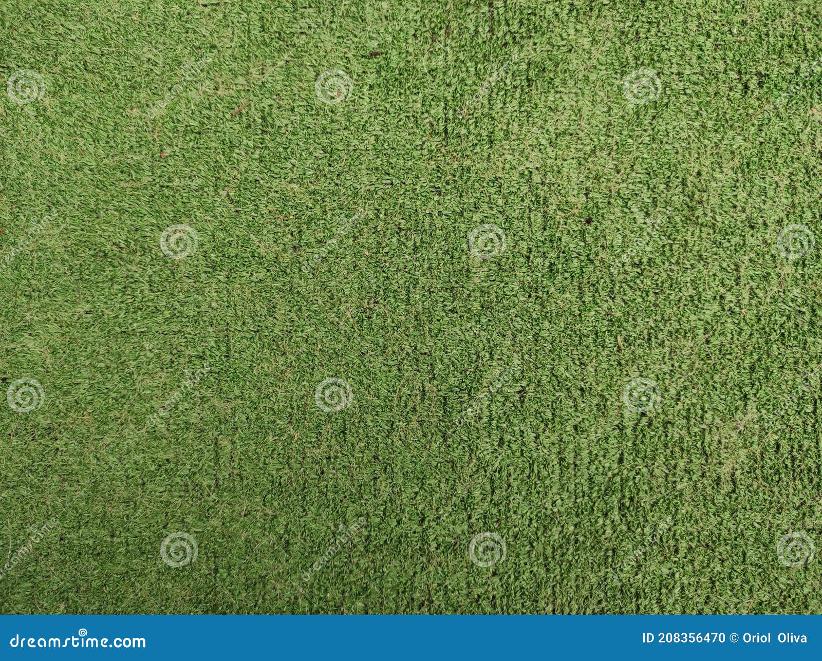 Texture. Artificial Grass. Green Grass. Wallpaper Stock Photo - Image ...