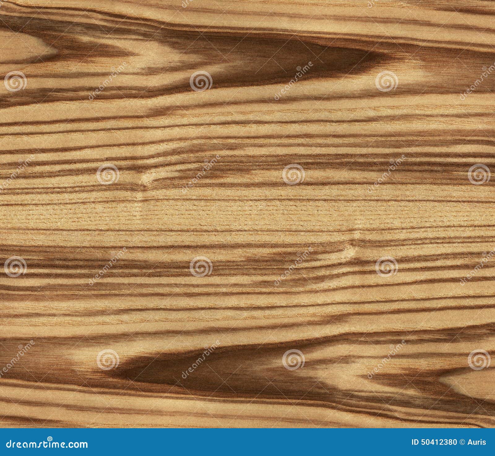 Texture of ash tree stock photo. Image of striped, texture - 50412380