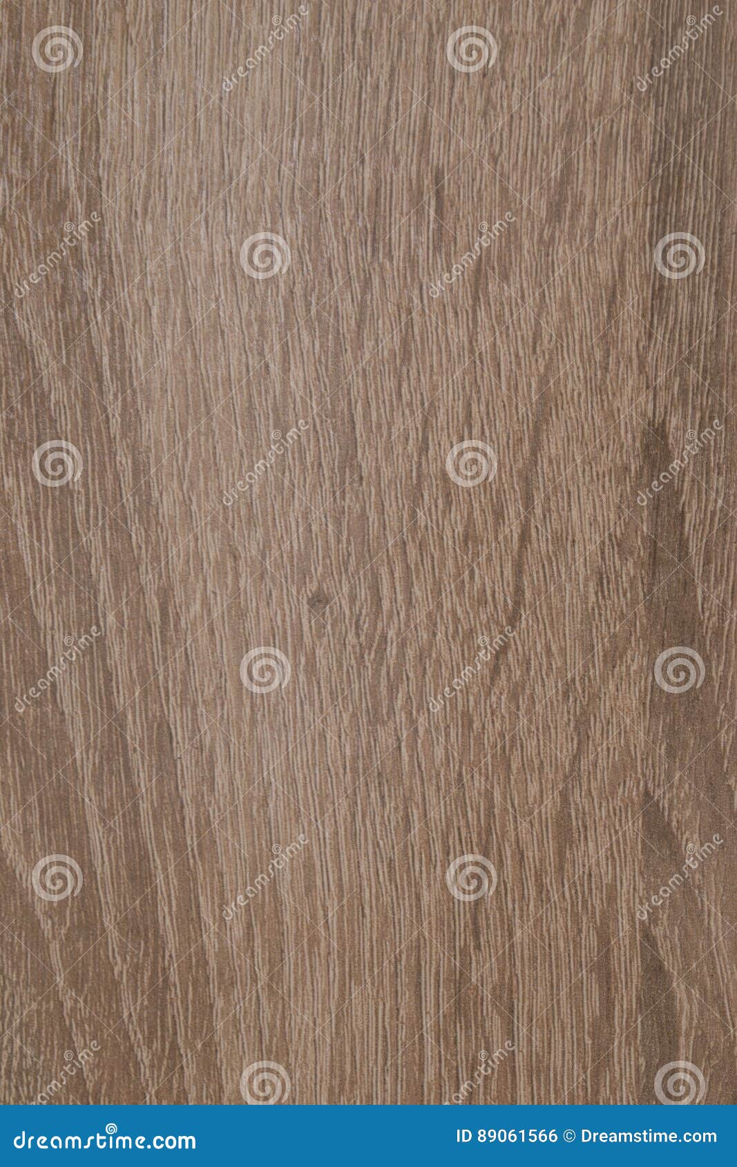 Texture ash tree light stock photo. Image of wood, flooring - 89061566
