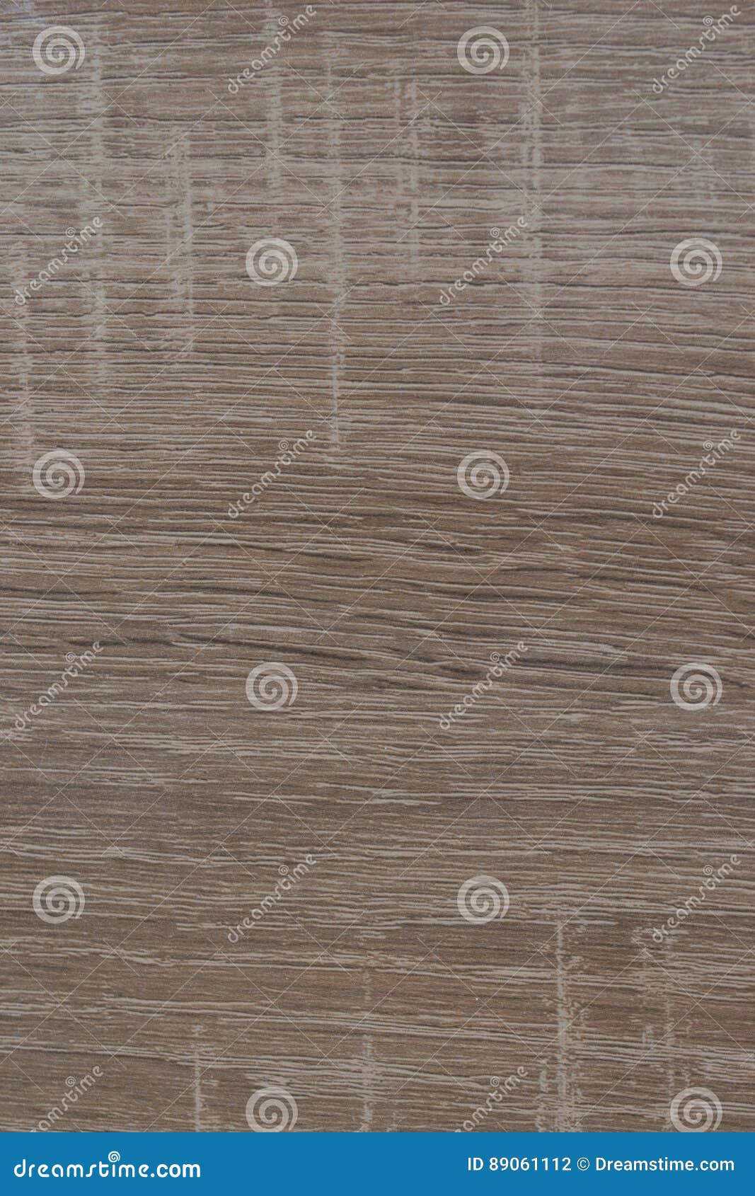 Texture Ash TTexture Ash Tree Lightree Light Stock Photo - Image of ...