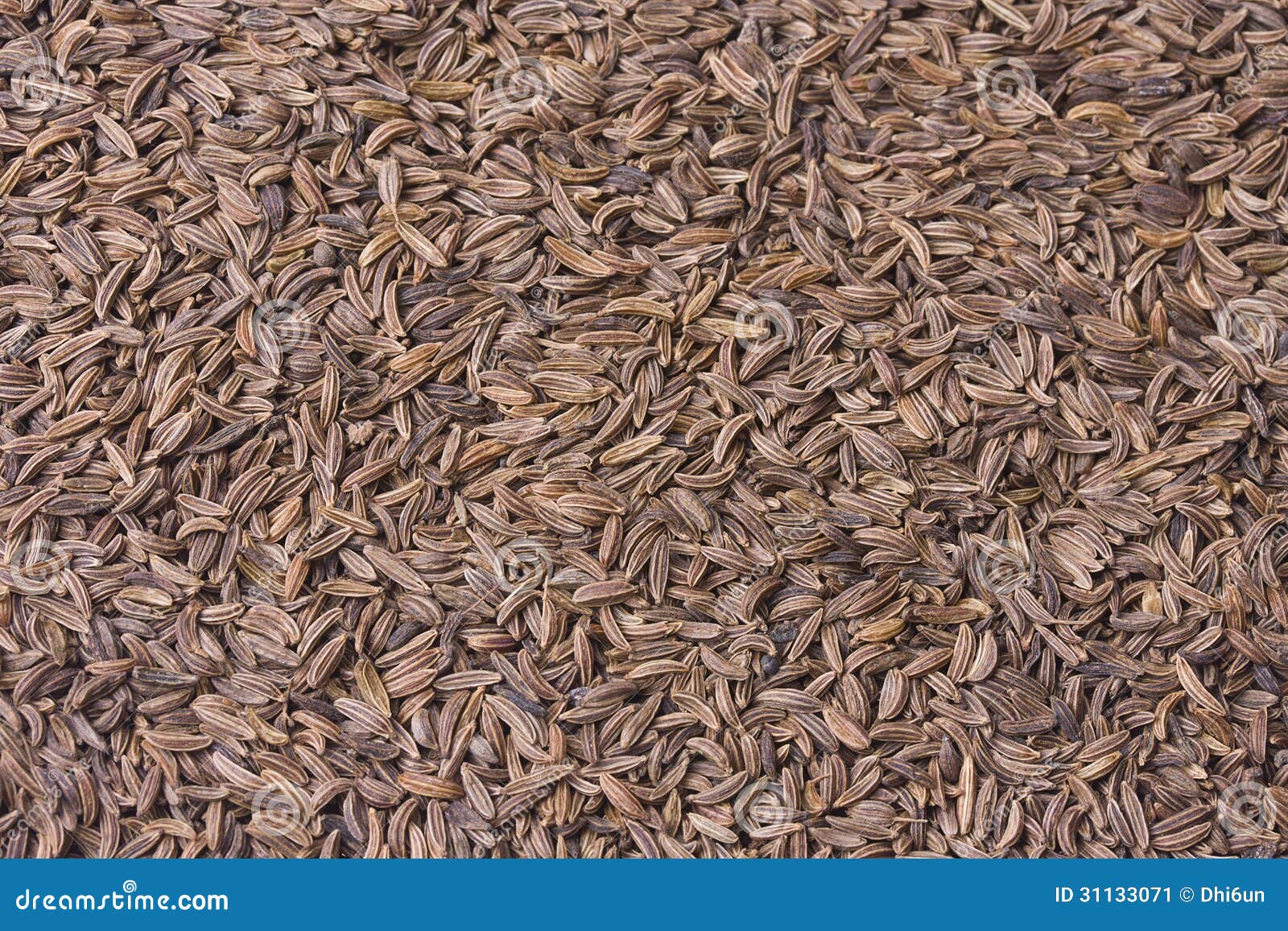 Texture au sol de cumin. image stock. Image du cumin - 31133071