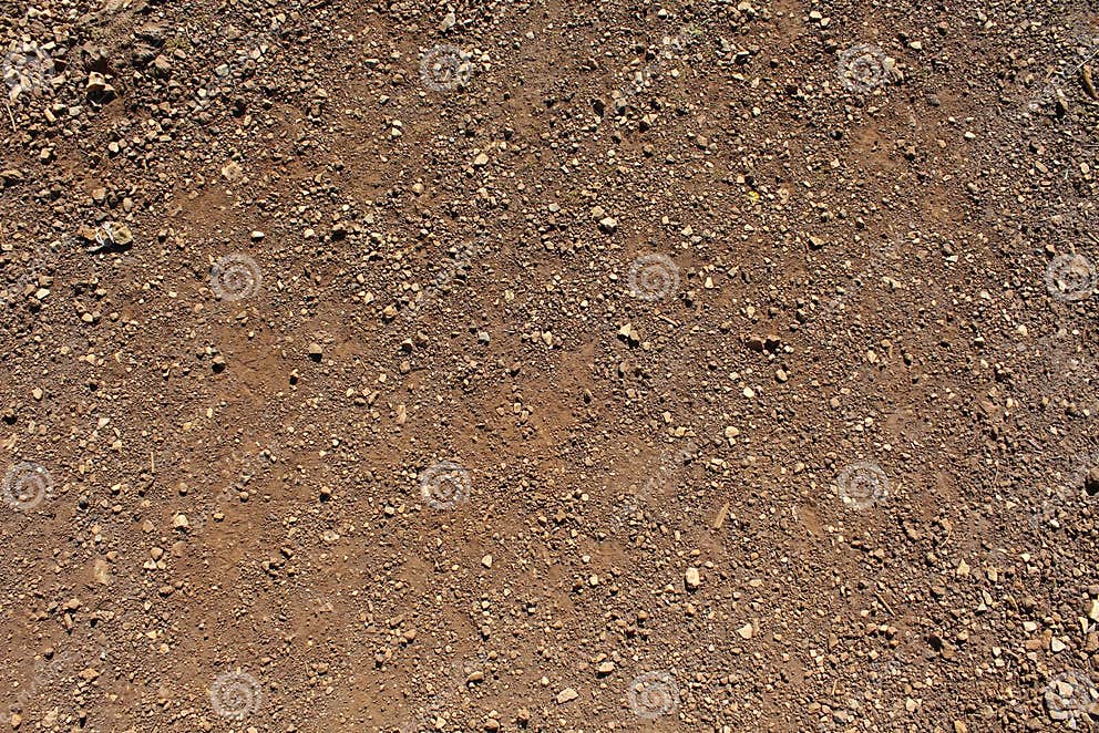 Texture au sol de terre photo stock. Image du earth - 100406804