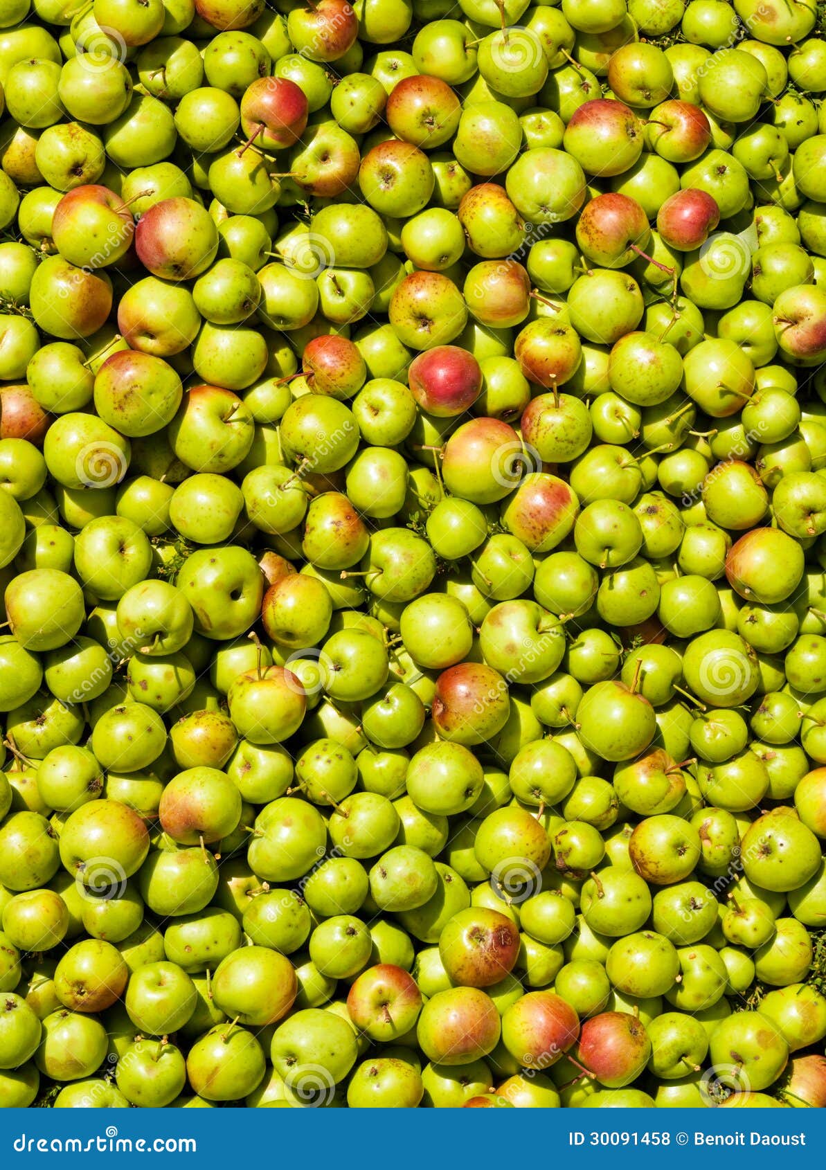 Texture avec des pommes photo stock. Image du pomme, juteux - 30091458