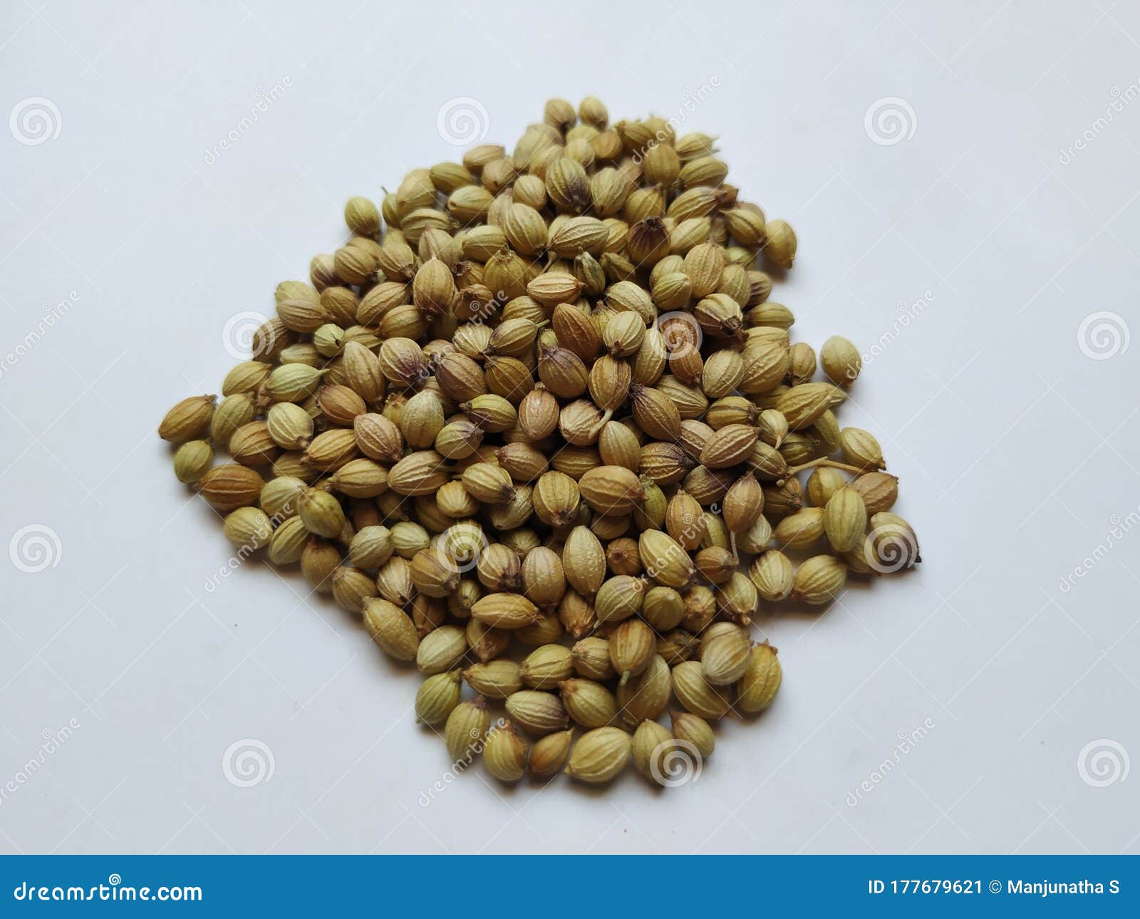 Texture of Dhaniya Seeds. Heap of a Coriander or Dhania Seeds Isolated ...