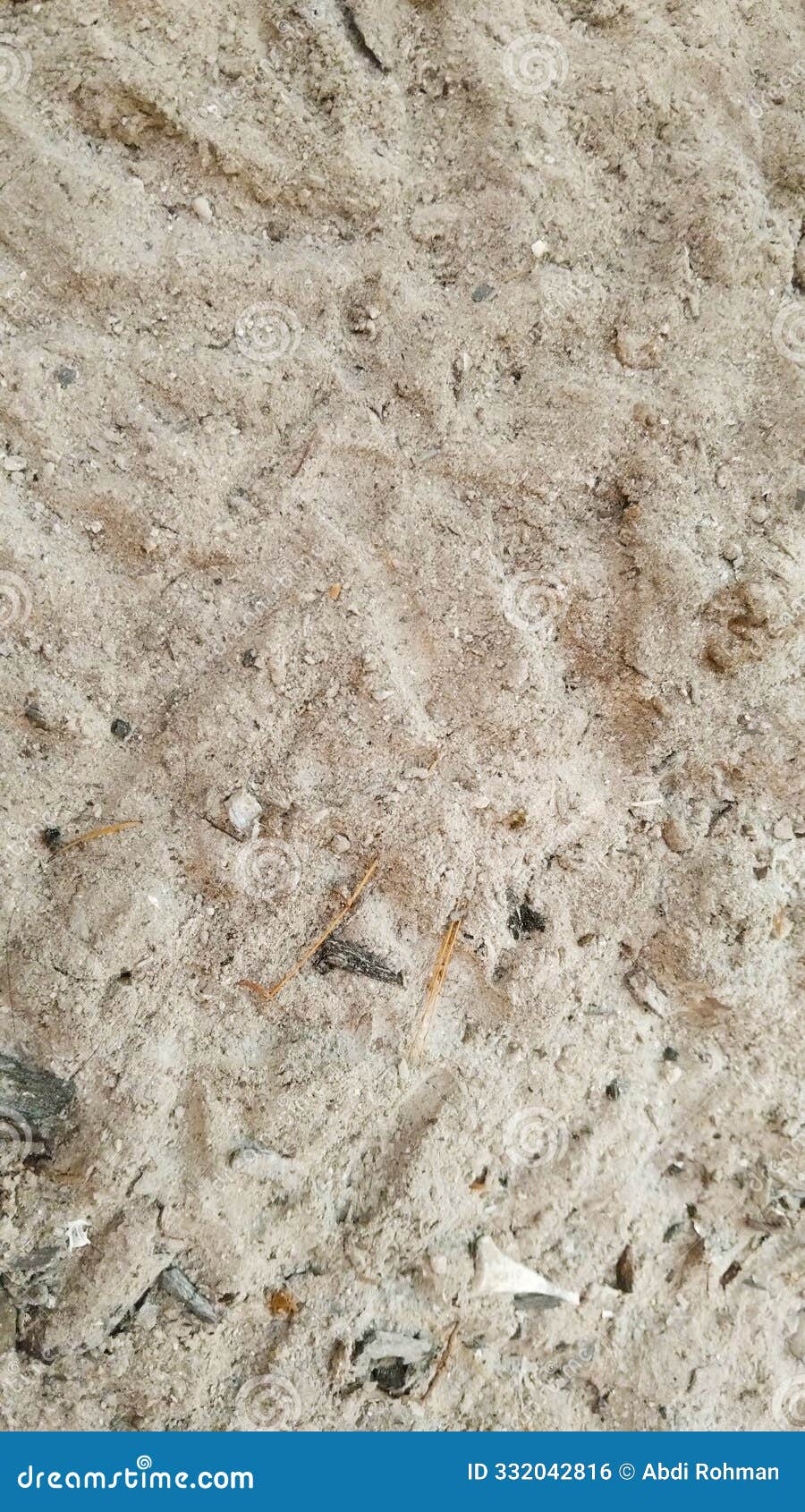 Ashes from Burnt Ovens, Embers, Ashes from Fireplace Wood Stock Photo ...