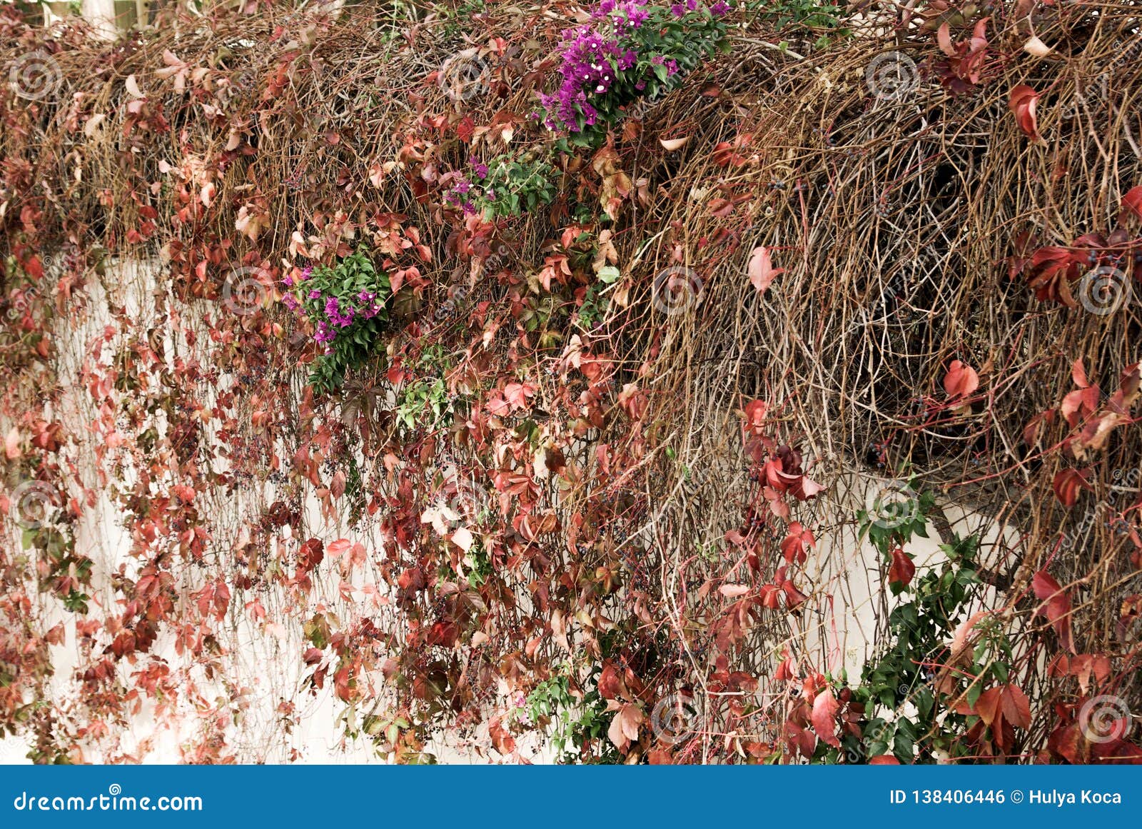 Texture Background of Autumn Season with Its Elements Stock Photo ...