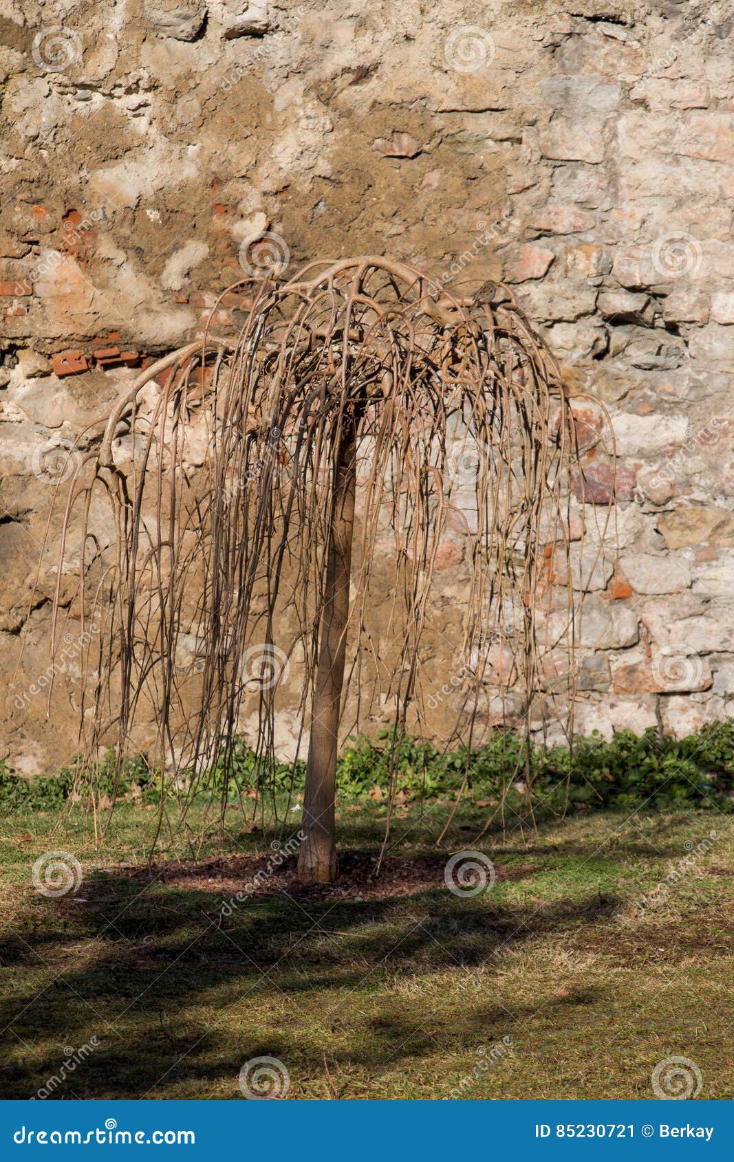 Texture Background of Autumn Season with Its Elements Stock Image ...