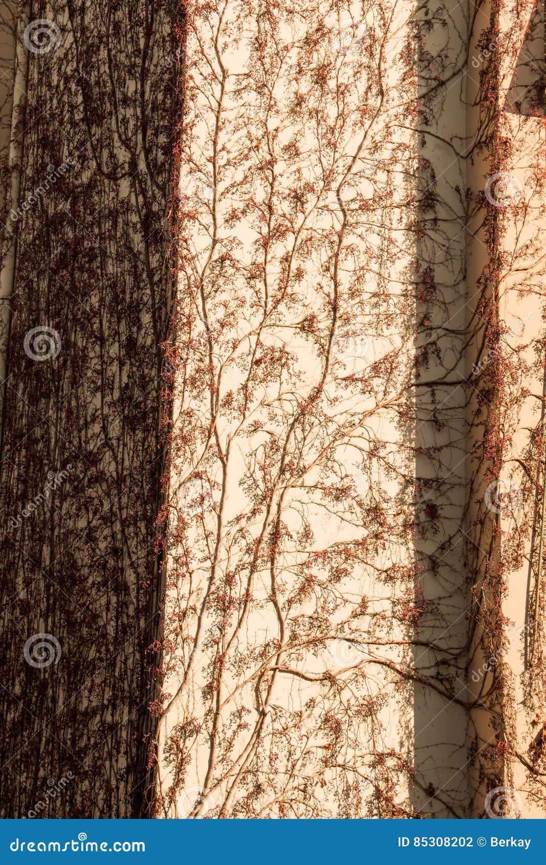 Texture Background of Autumn Season with Its Elements Stock Photo ...