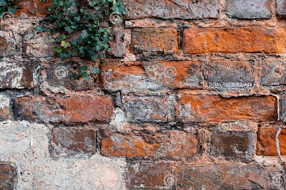 Texture Background of Bricks with Lines Stock Photo - Image of solid ...