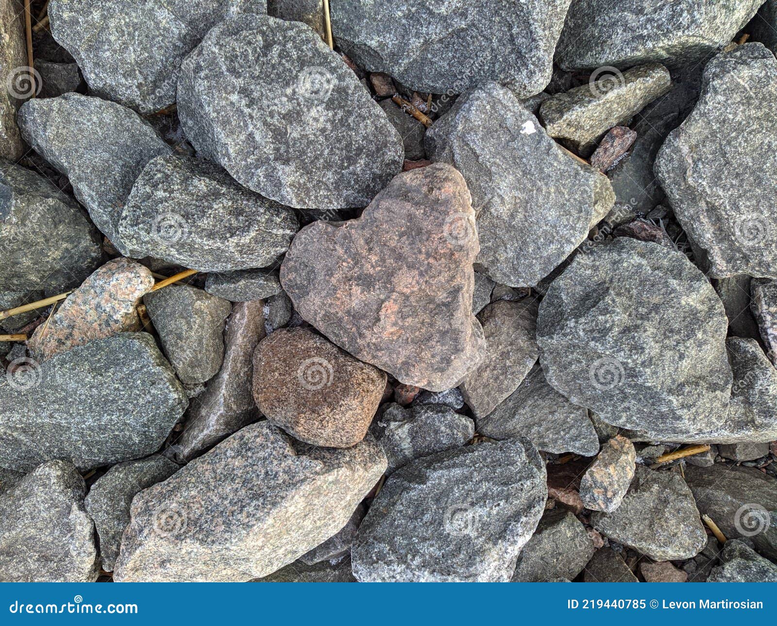 Texture and Background of Colored Stones on the River Bank in the ...