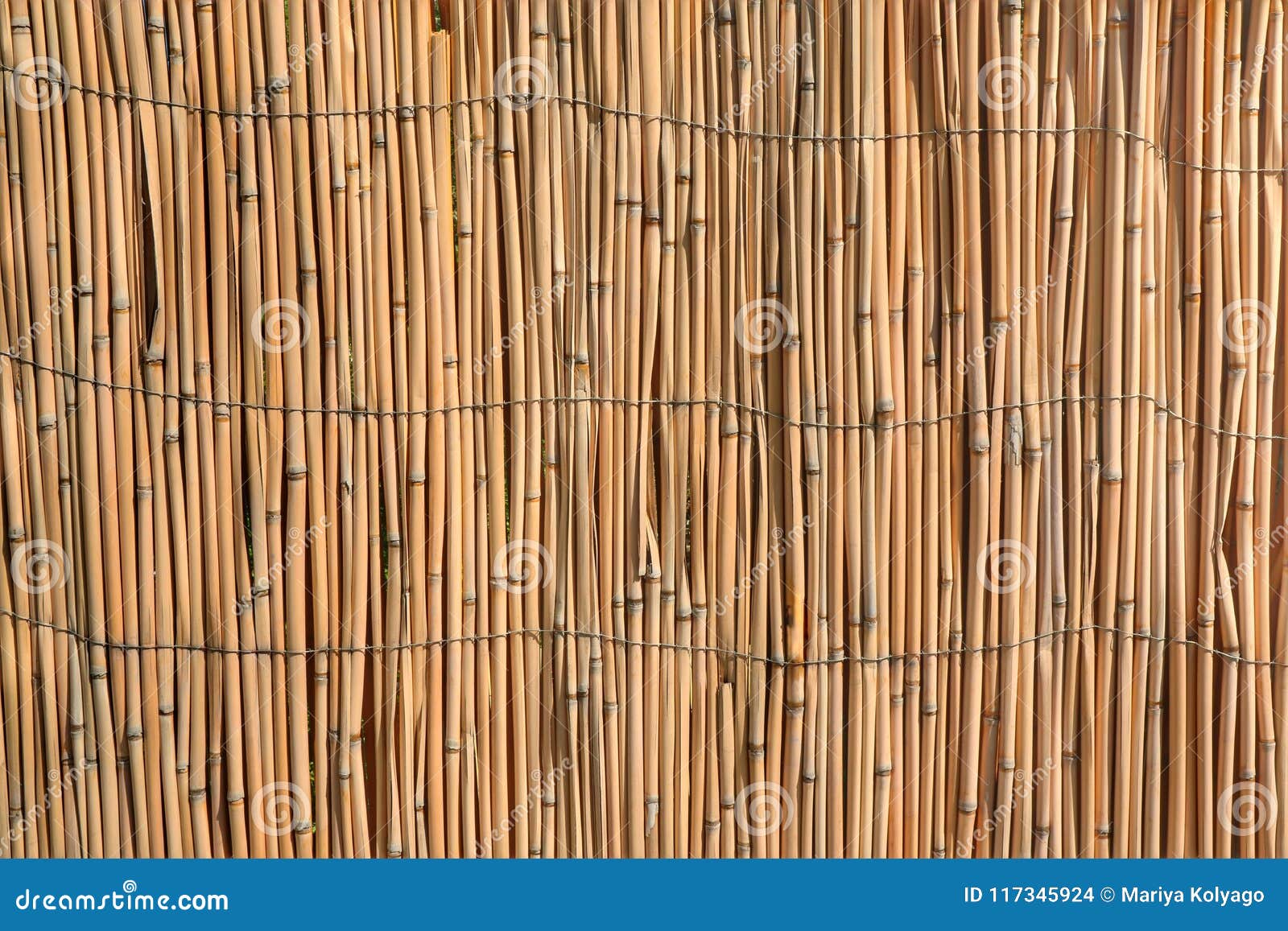 Texture Background for Design of Reeds. Stock Photo - Image of thatched ...