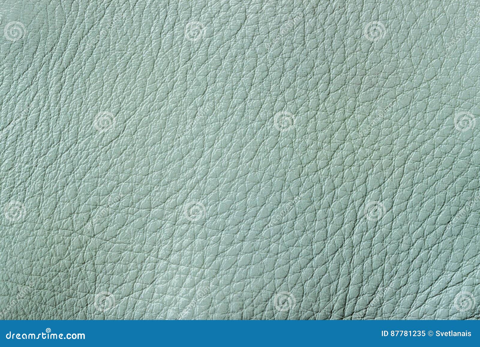 Texture of Background for a Designer, Pattern of Genuine Leather ...