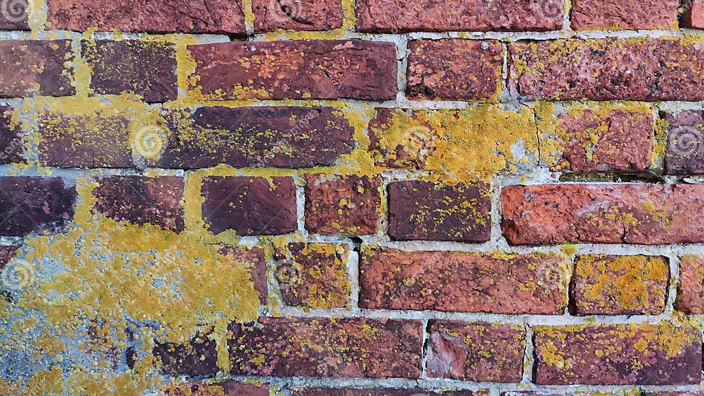 Texture, Background and Frame Made of Abstract Red Brick. Brickwork ...
