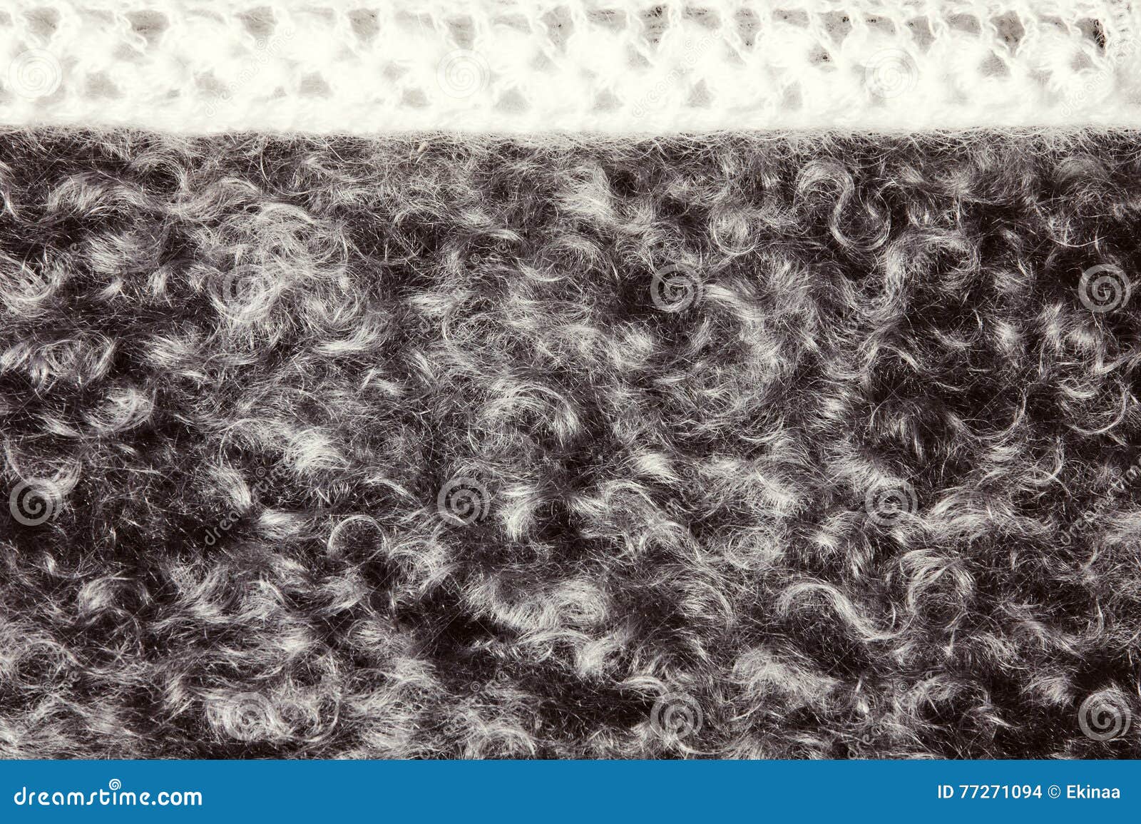 Texture, Background. The Fur Of The Angora Goat. A Goat, Of A Lo Stock ...