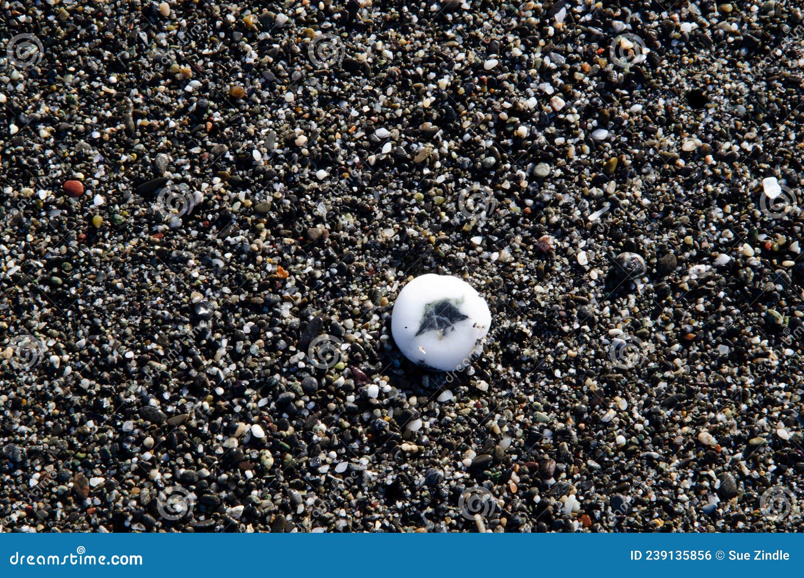 Textured Gritty Sand with Rock Stock Photo - Image of background, tiny ...